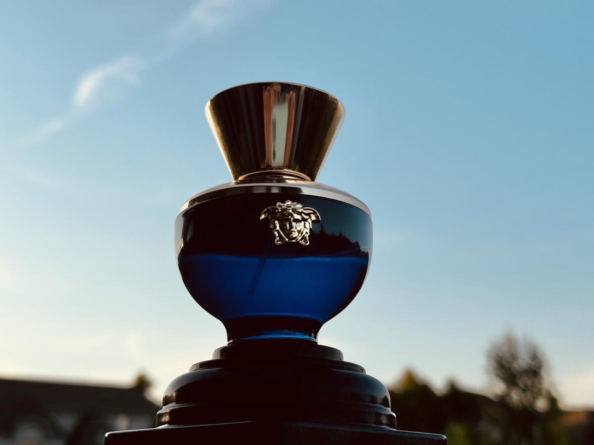 Versace Pour Femme Dylan Blue Versace fragancia - una fragancia para ...
