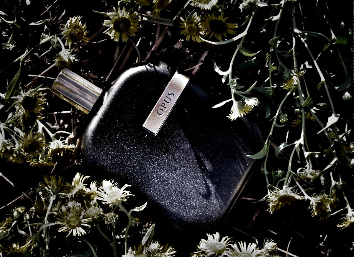 The Library Collection Opus VII Amouage parfum - een geur voor dames en ...