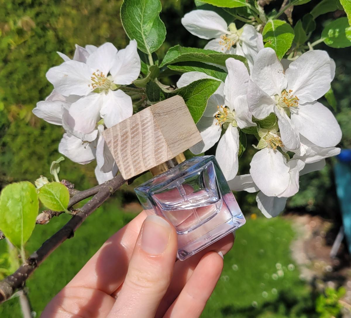 Océan Infini Rituals perfume - a fragrância Feminino 2018