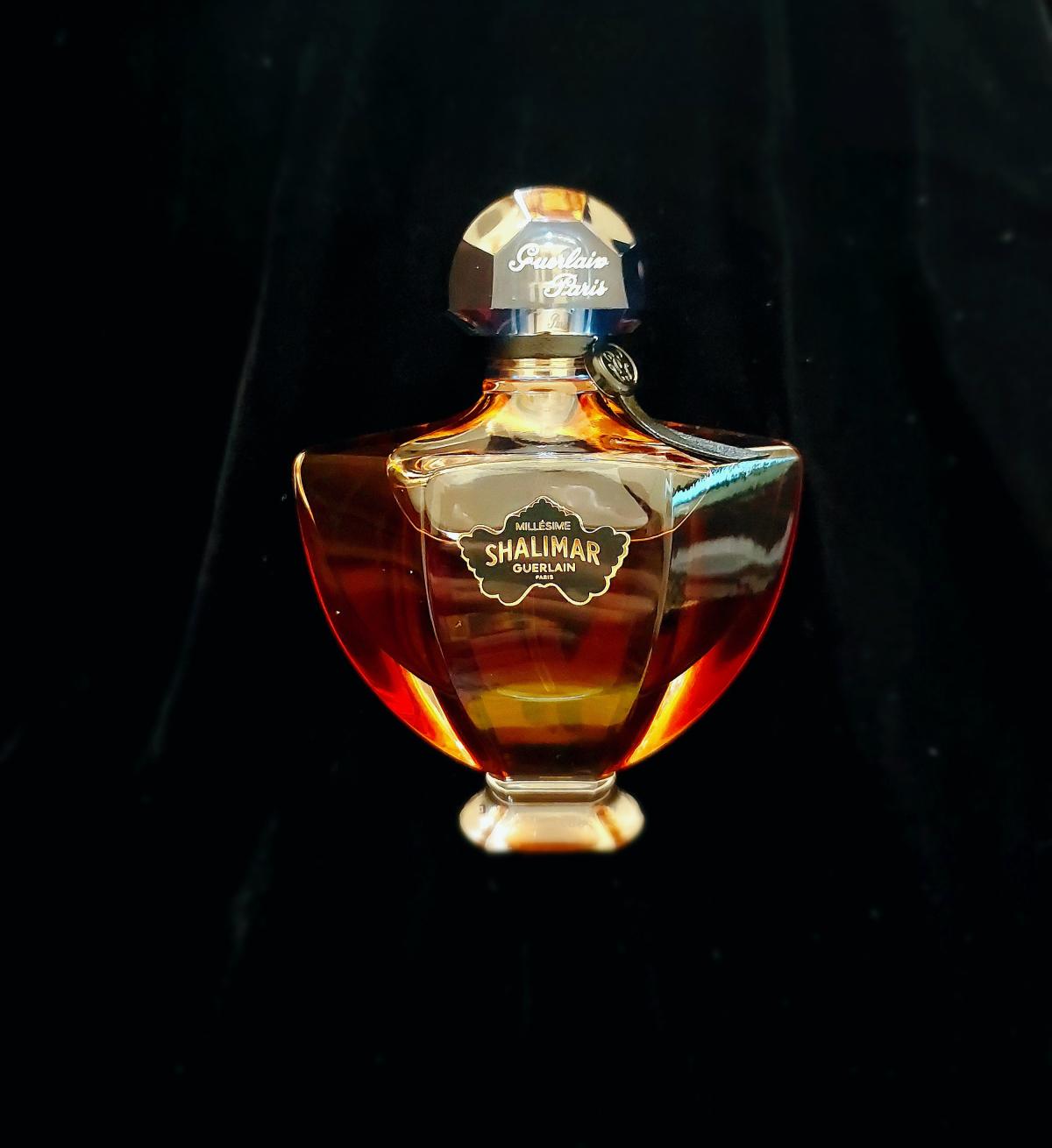 Shalimar Millésime Tonka Guerlain аромат — новый аромат для женщин 2022