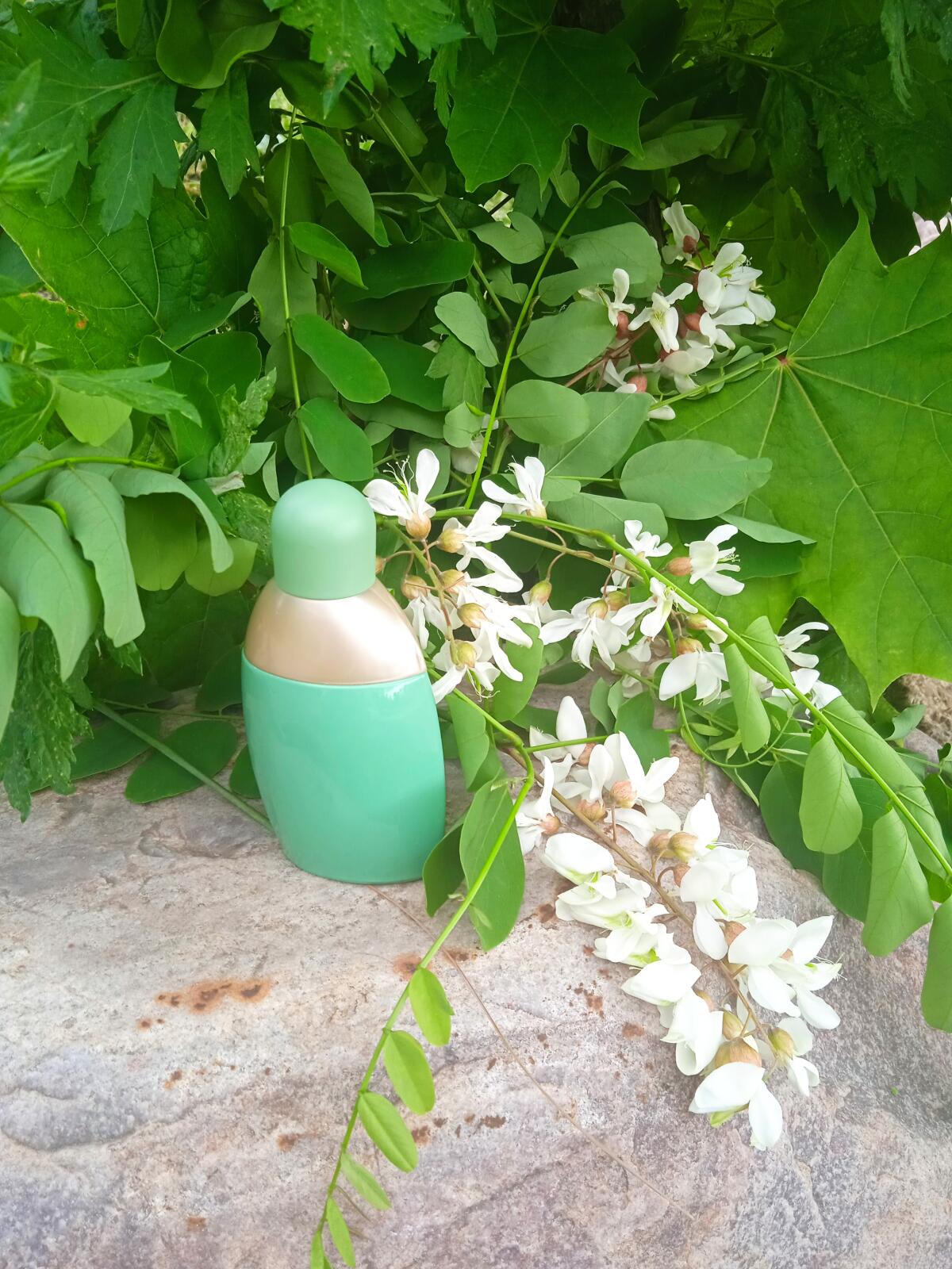 Eden Cacharel perfume - a fragrância Feminino 1994