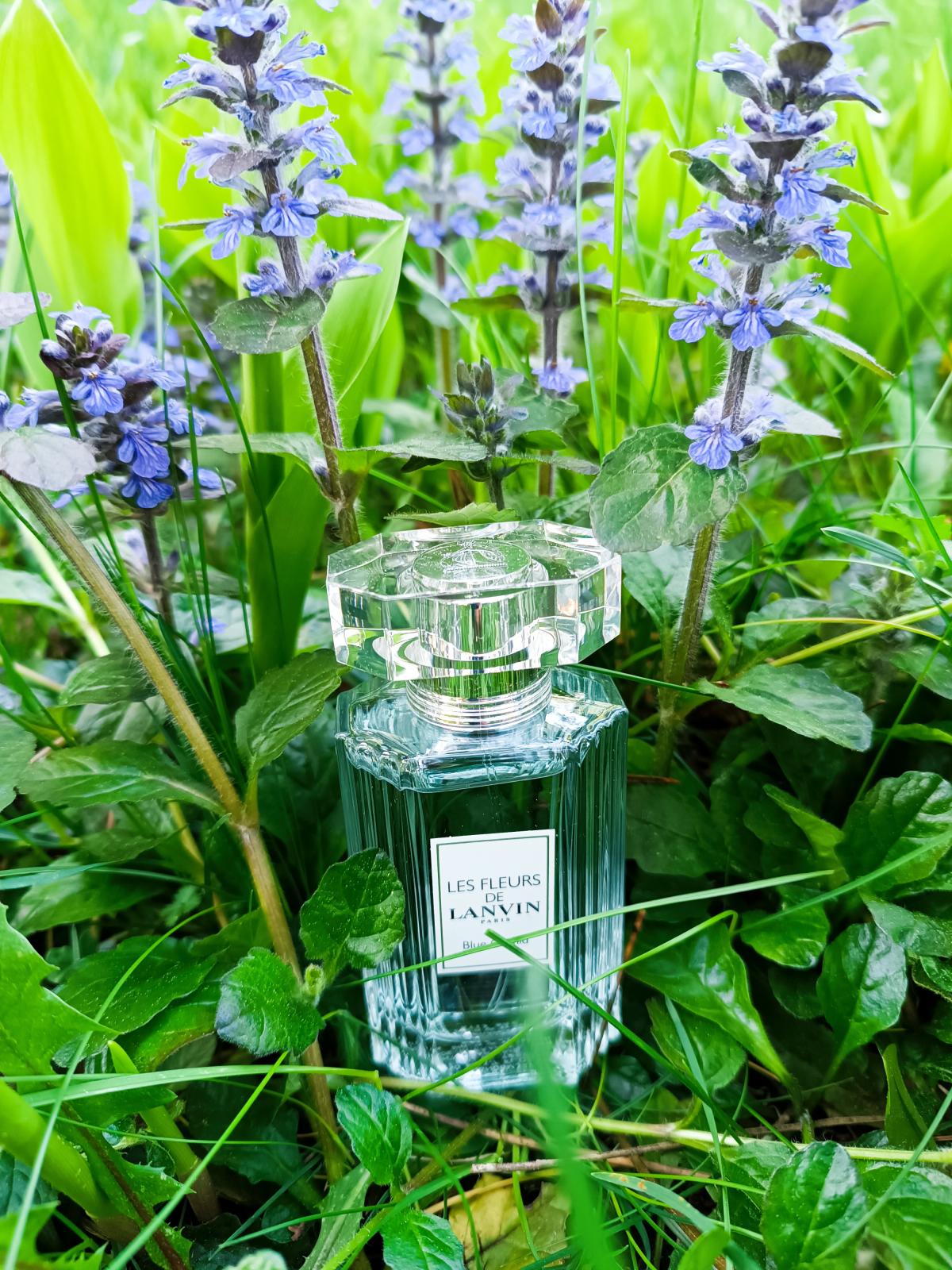 Blue Orchid Lanvin fragancia - una fragancia para Mujeres 2021