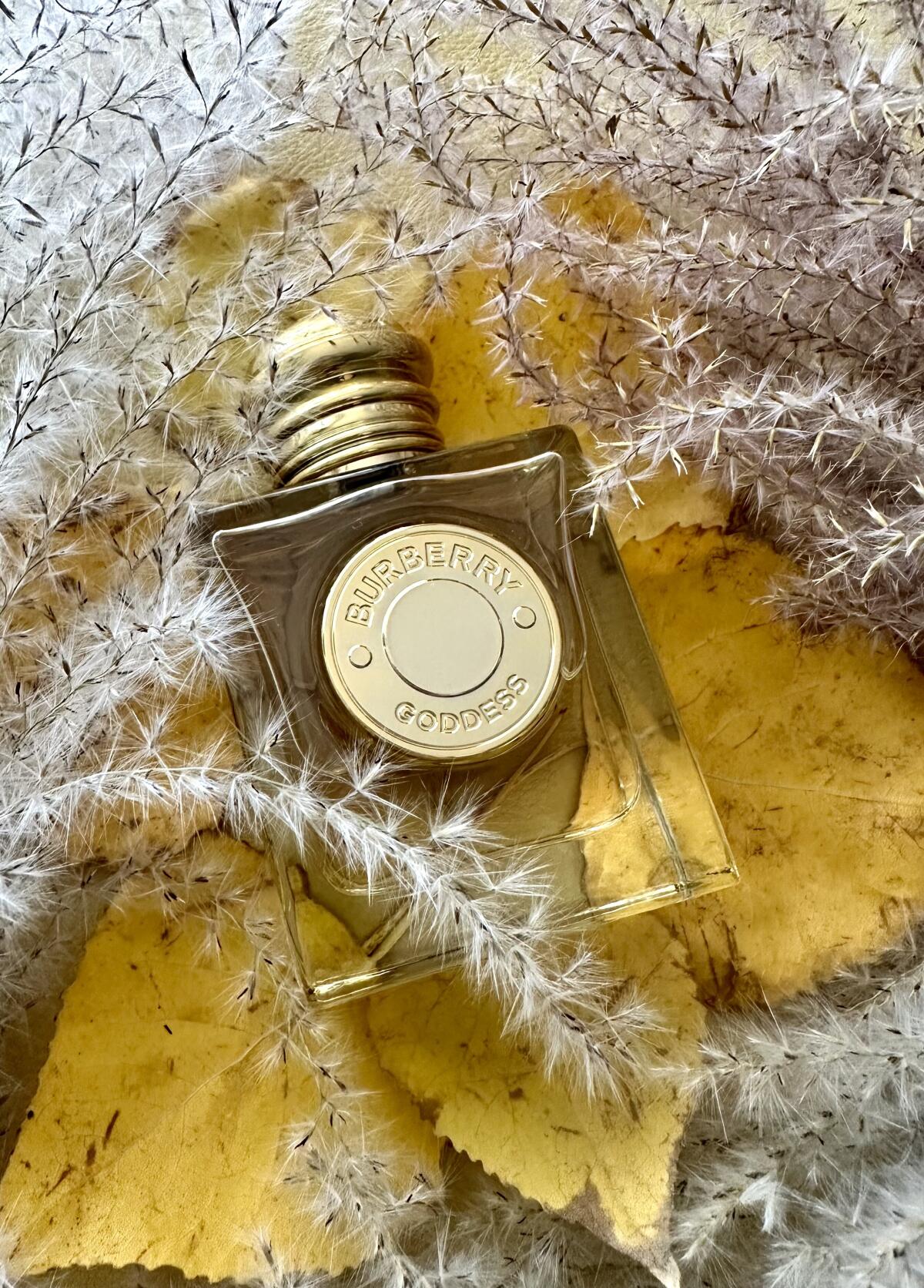 Goddess Burberry perfumy - to nowe perfumy dla kobiet 2023