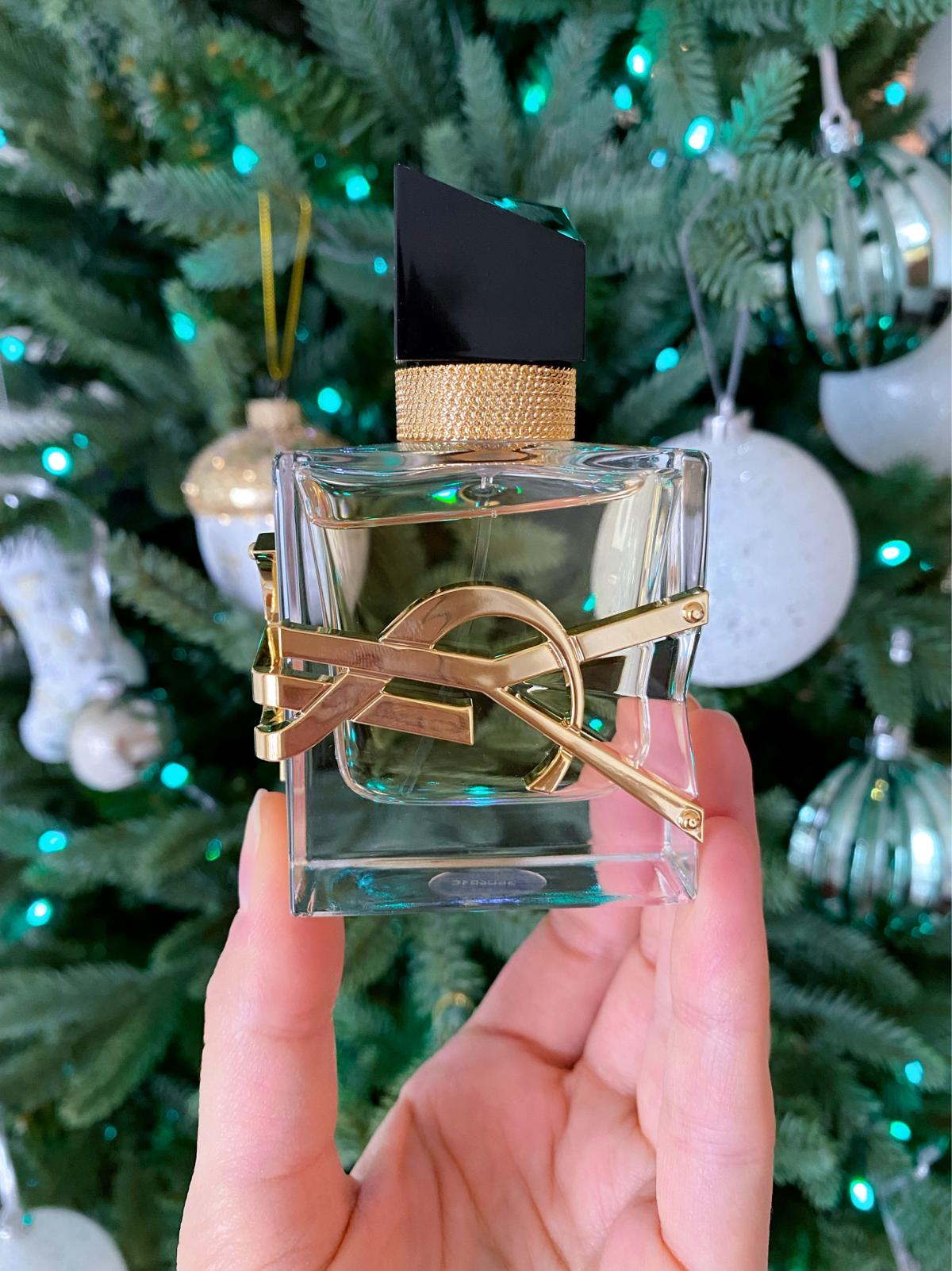 Libre Yves Saint Laurent parfum - un parfum pour femme 2019