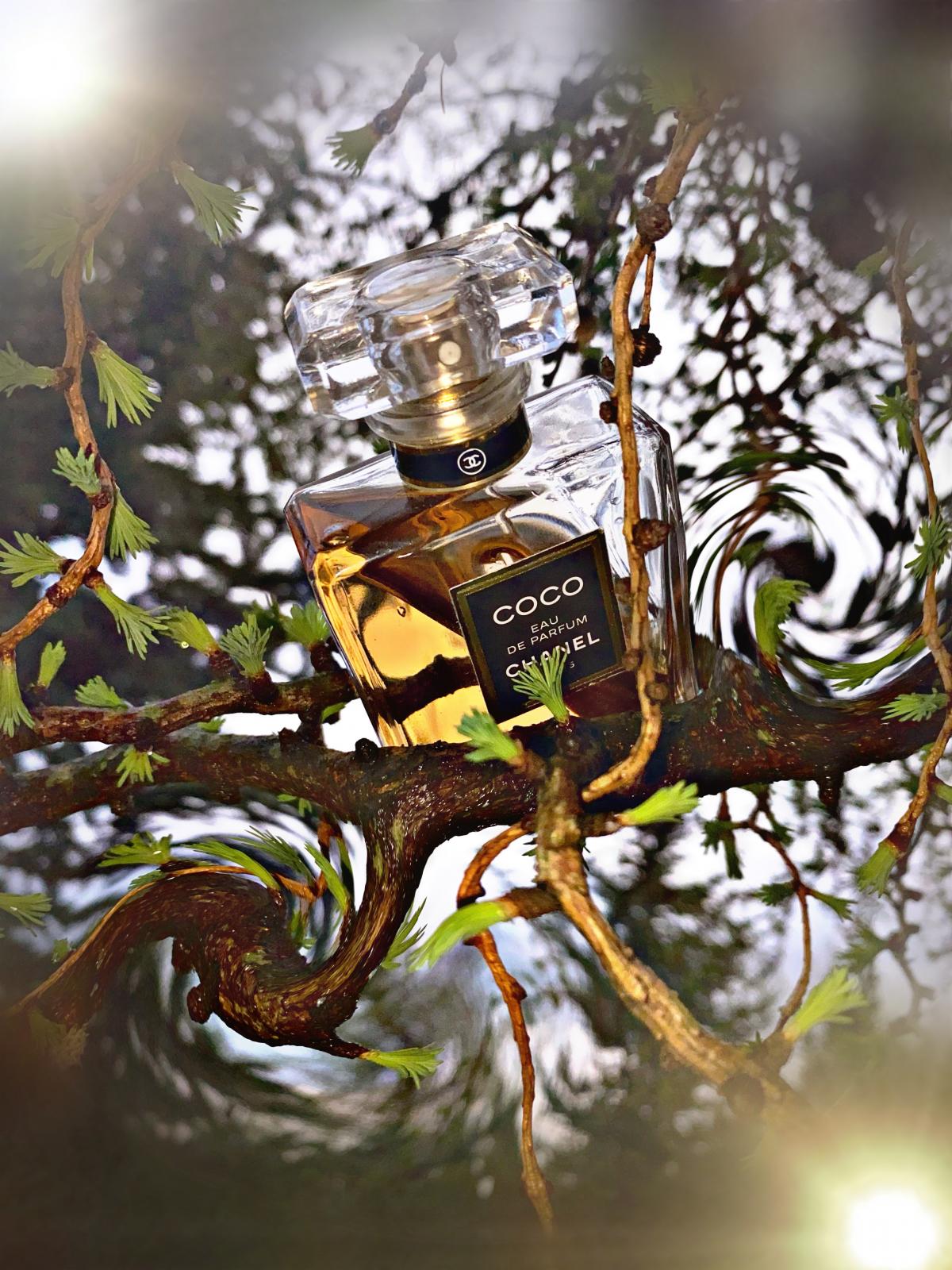 Coco Eau de Parfum Chanel άρωμα - ένα άρωμα για γυναίκες 1984