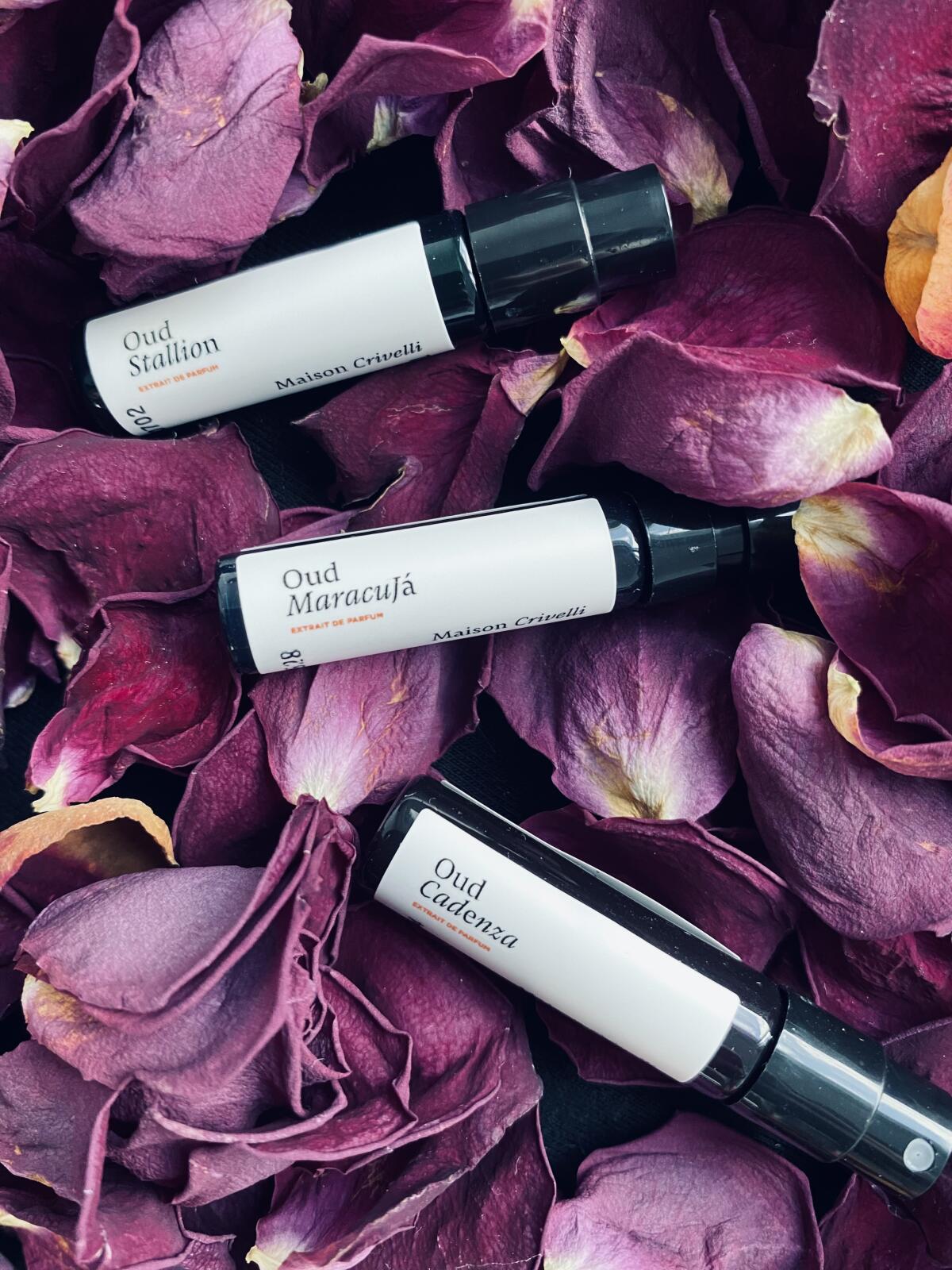 Oud Maracujá Maison Crivelli parfum - un nouveau parfum pour homme et ...