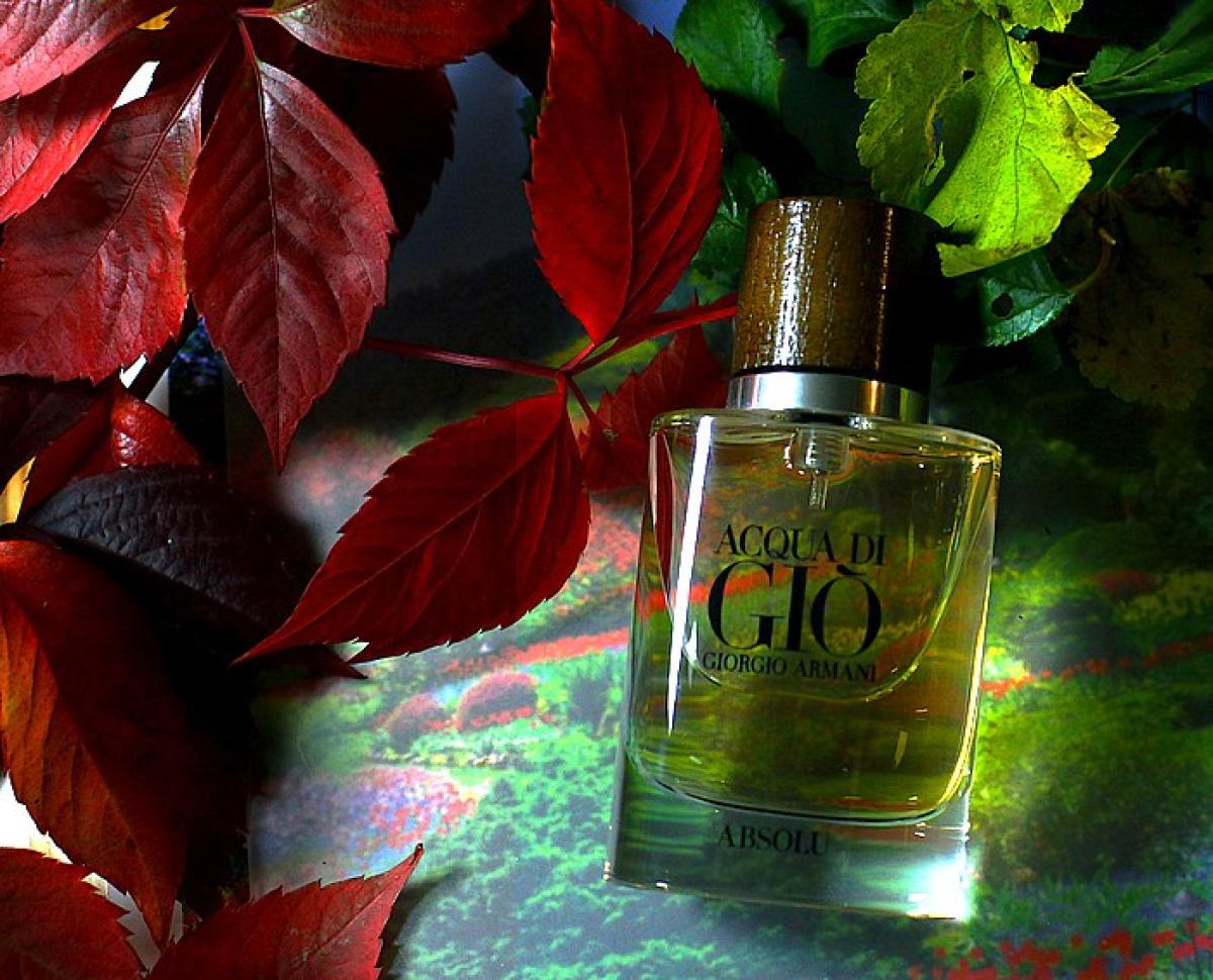 Giò Giorgio Armani fragancia - una fragancia para Mujeres 1992