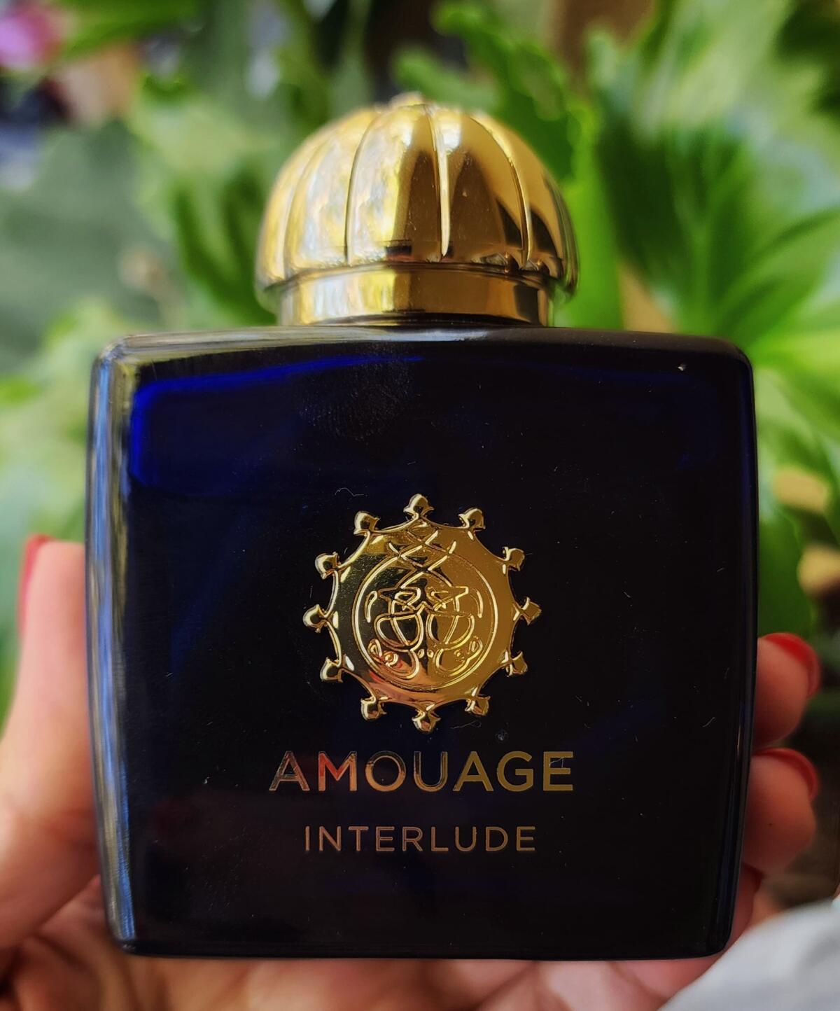 Interlude Woman Amouage perfume - a fragrância Feminino 2012