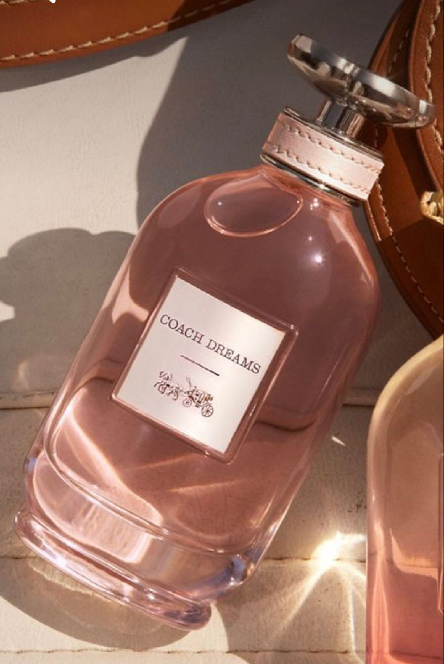 Coach Dreams Coach perfume - a fragrância Feminino 2020