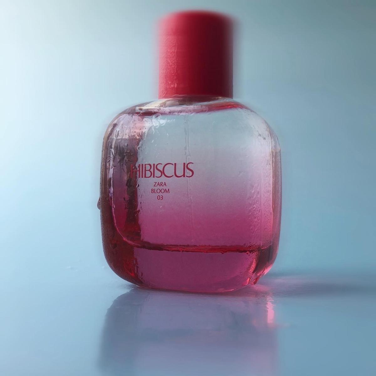 Hibiscus Zara perfume - a novo fragrância Feminino 2022