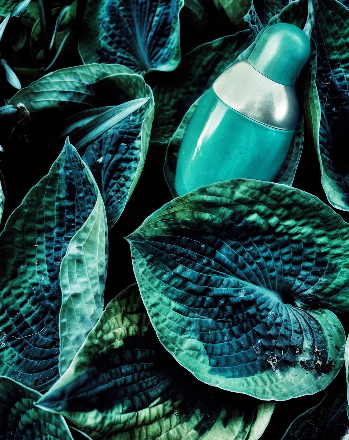 Eden Cacharel perfume - a fragrância Feminino 1994