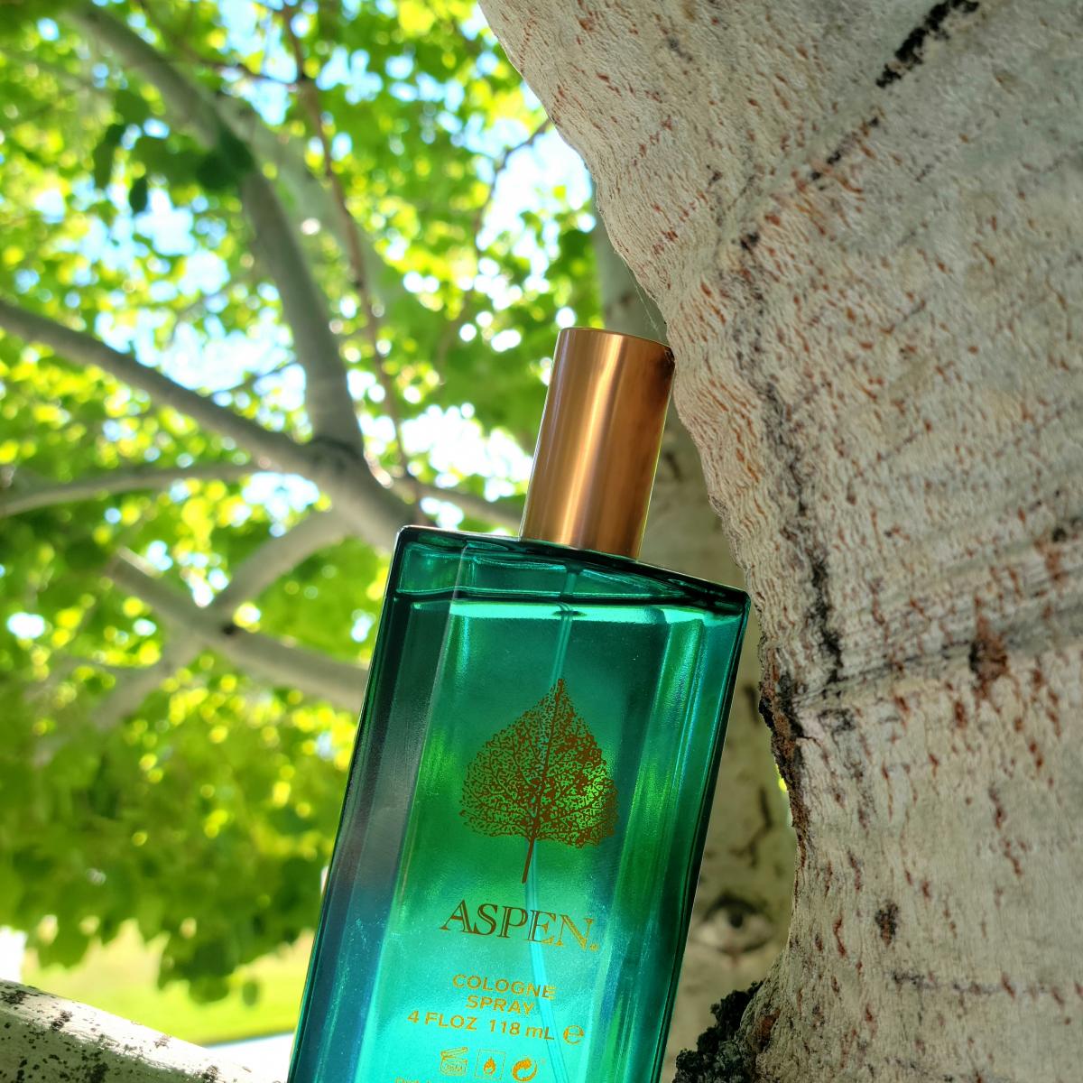 Aspen For Men Coty Cologne - ein es Parfum für Männer 1989