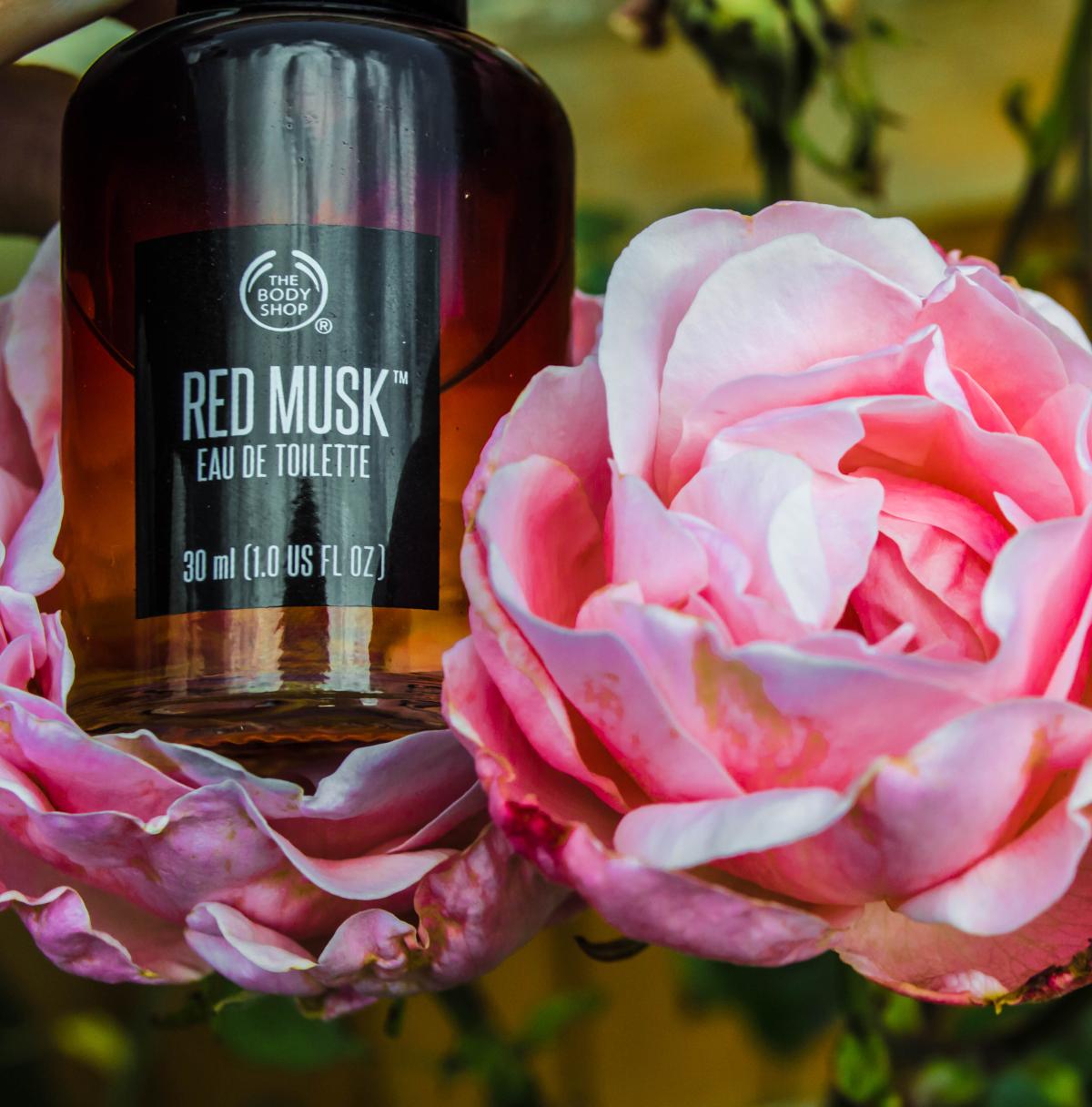 Red Musk The Body Shop fragancia - una fragancia para Mujeres 2014