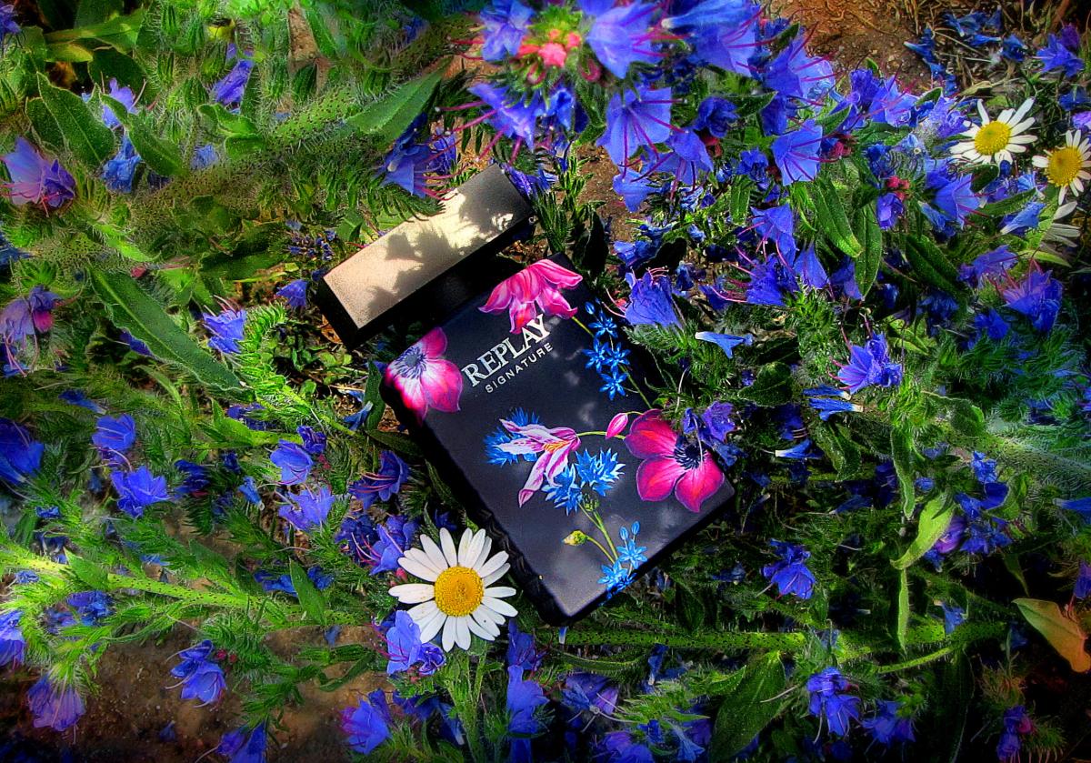 Replay Signature for Women Replay parfem - parfem za žene 2017