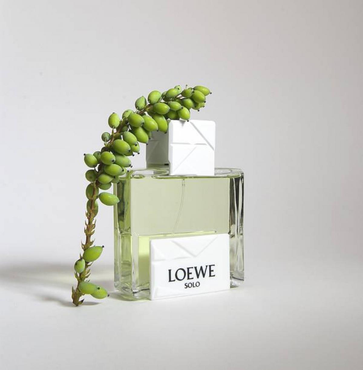 Solo Loewe Origami Loewe cologne - een geur voor heren 2018