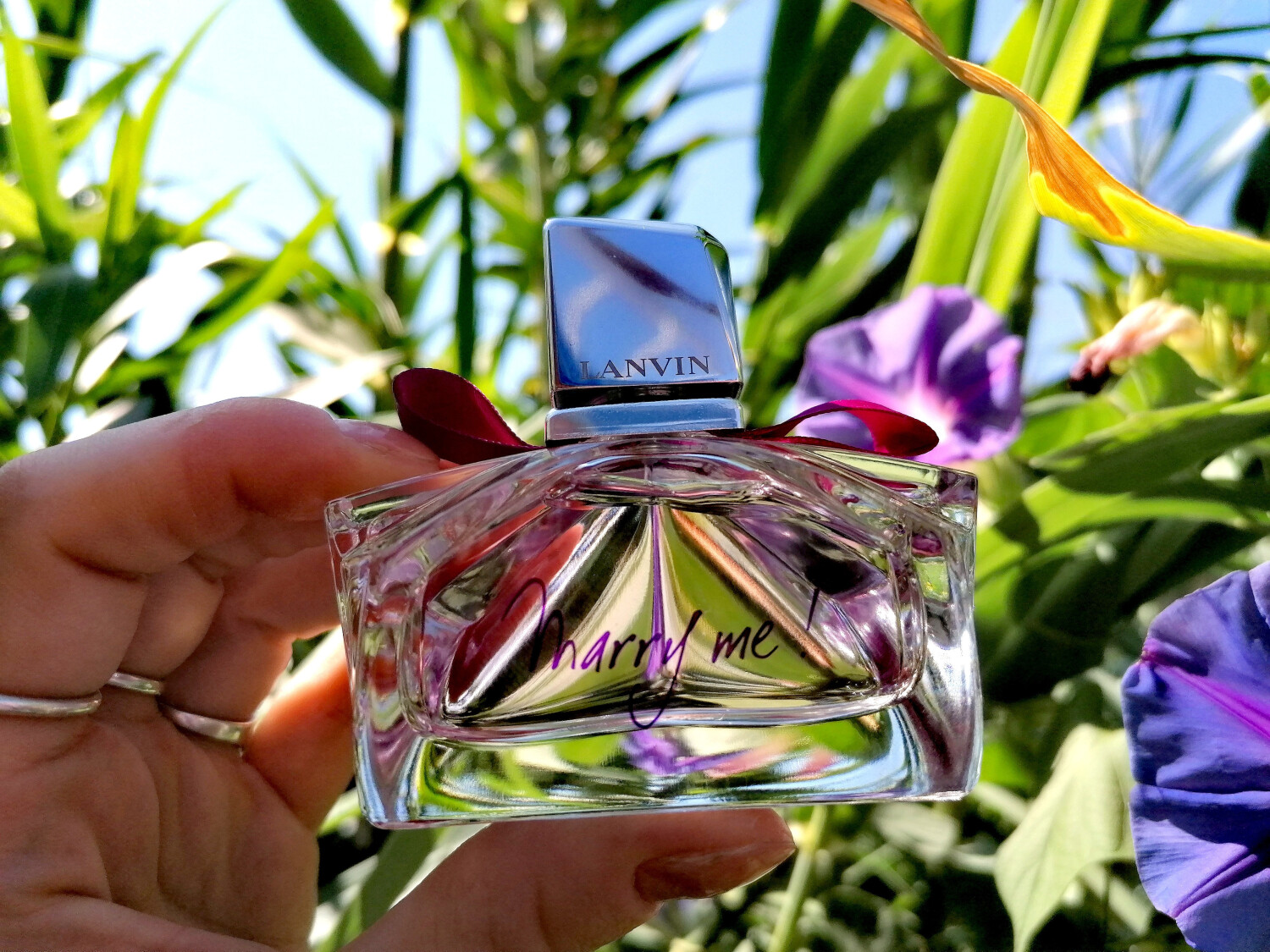 Marry Me Lanvin perfume - a fragrância Feminino 2010