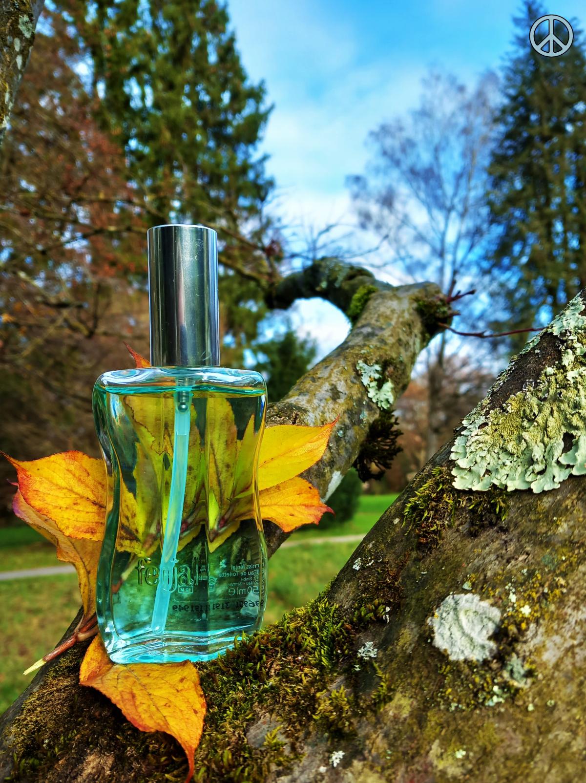 Miss Fenjal Classic Fenjal perfume - a fragrância Feminino