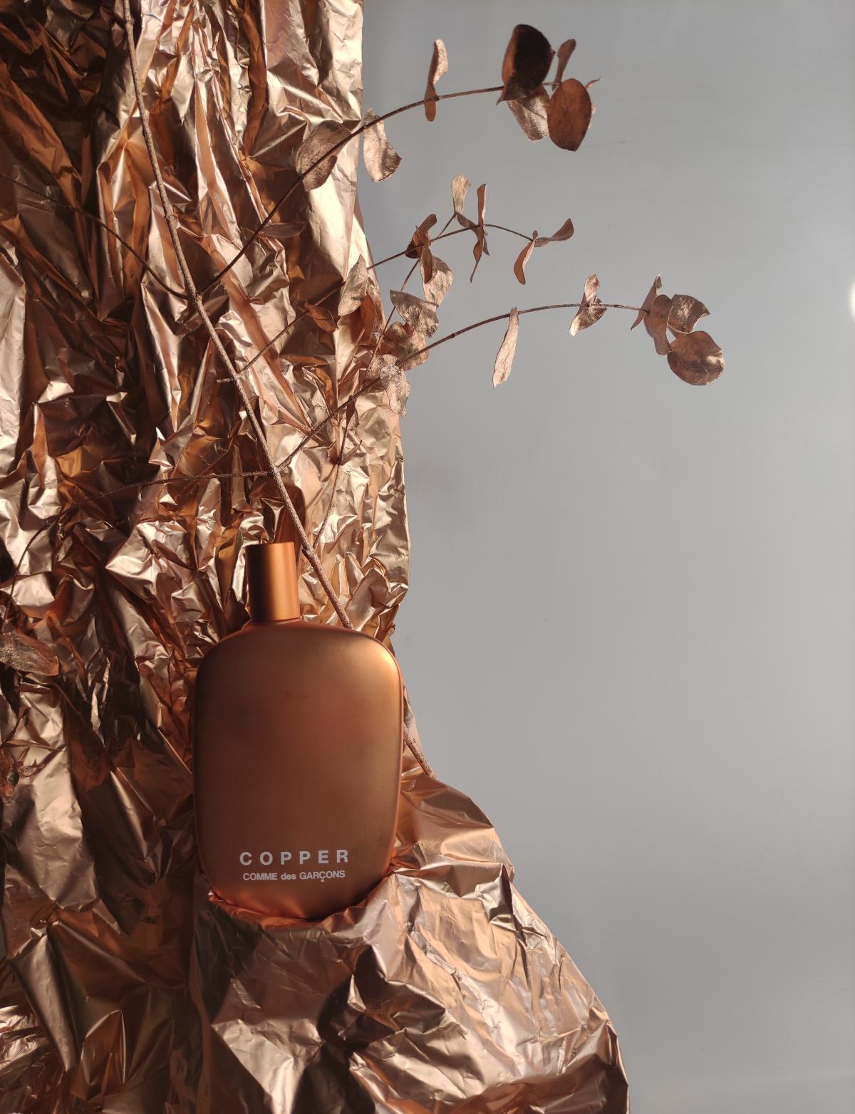 Copper Comme des Garcons fragancia - una fragancia para Hombres y ...