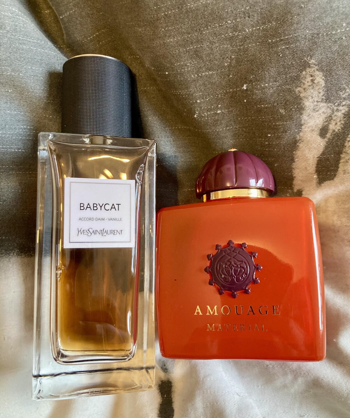 Babycat Yves Saint Laurent parfum - un nouveau parfum pour homme et ...