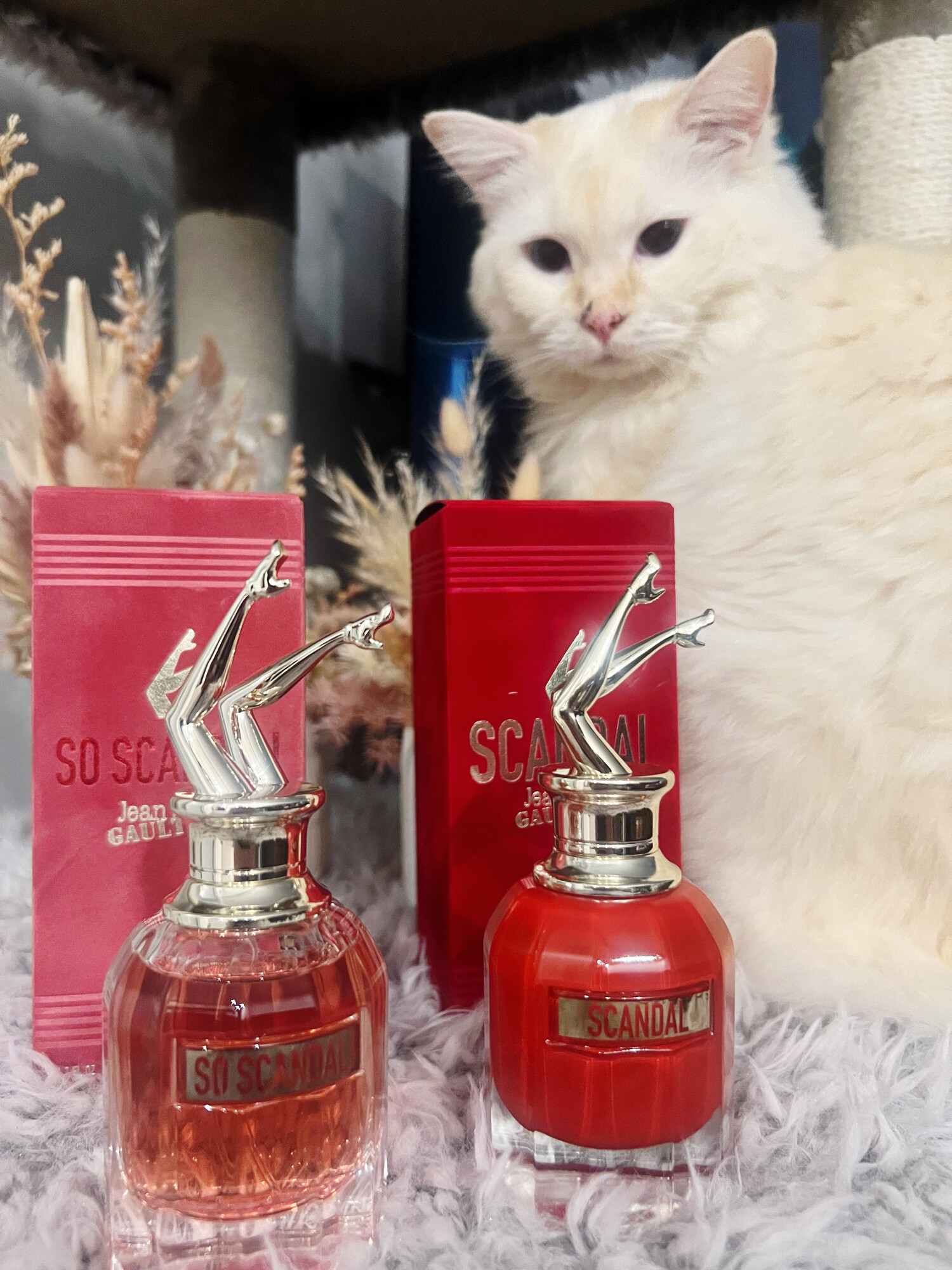 Scandal Le Parfum Jean Paul Gaultier fragancia - una nuevo fragancia ...