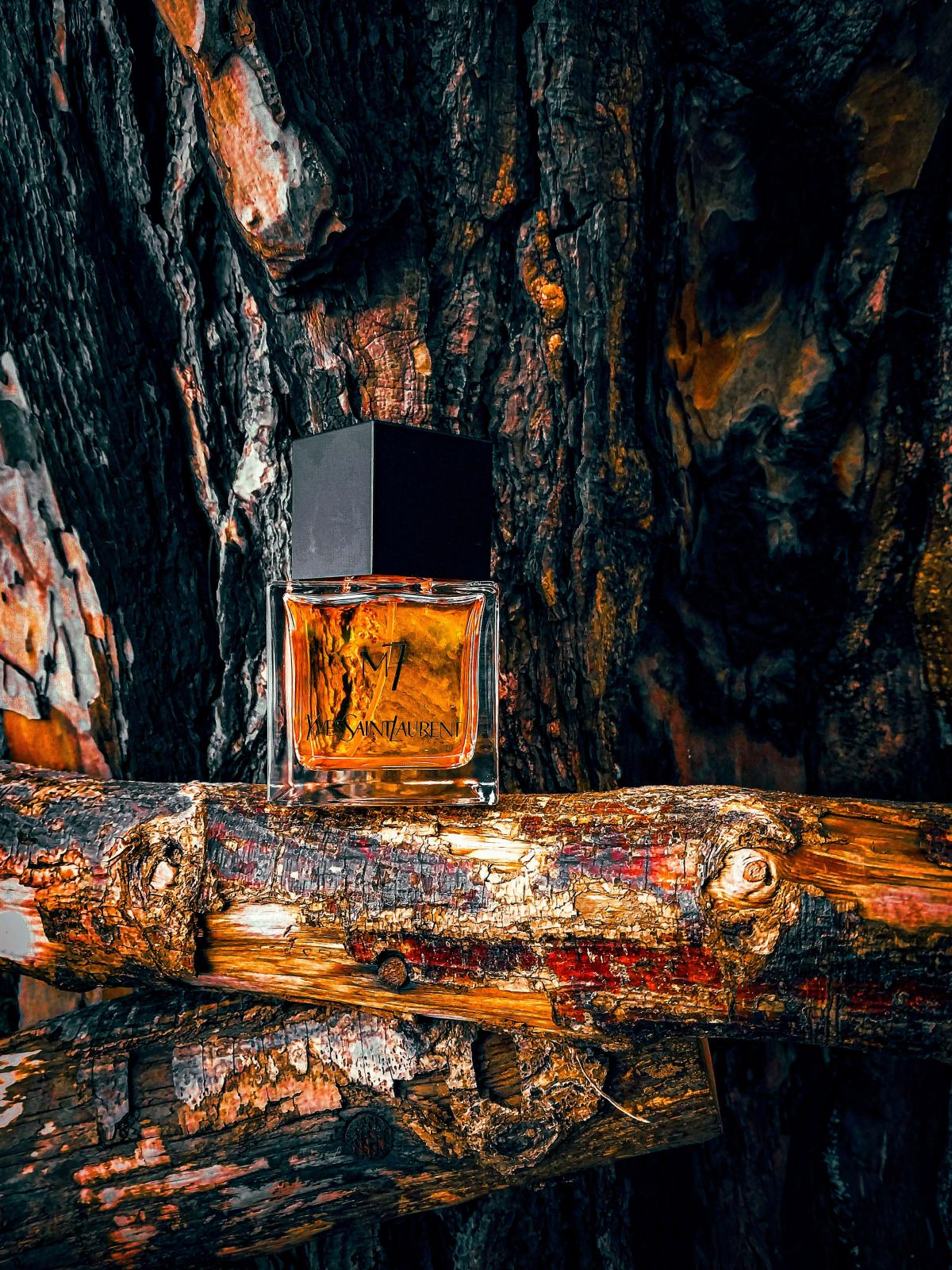 M7 Yves Saint Laurent Cologne - ein es Parfum für Männer 2002