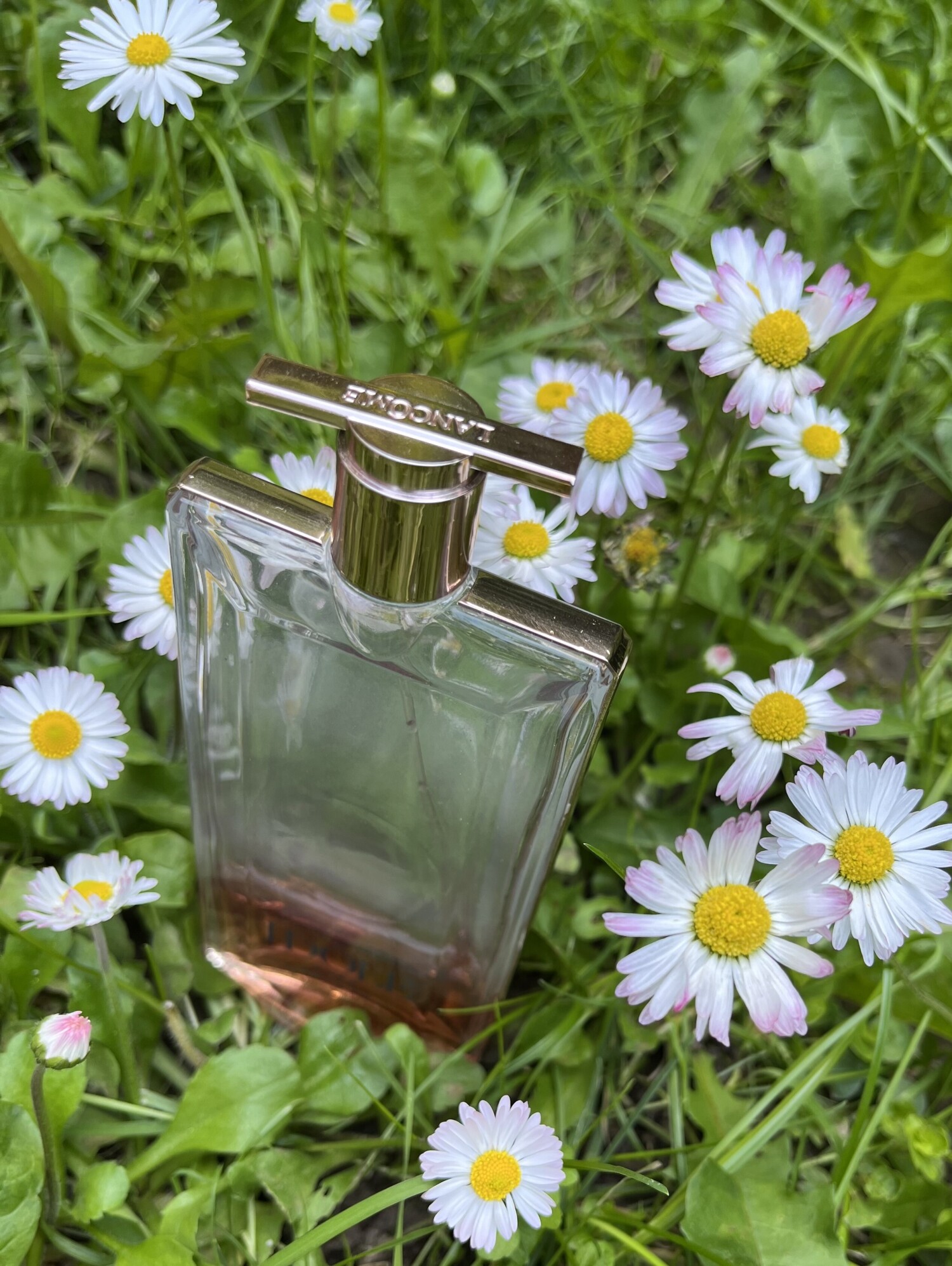Idôle Lancôme perfume - a fragrância Feminino 2019