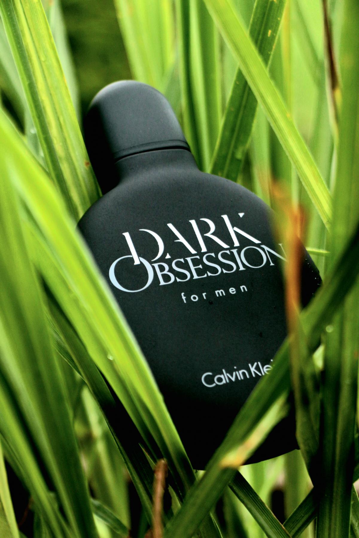 Dark Obsession Calvin Klein Cologne - ein es Parfum für Männer 2013