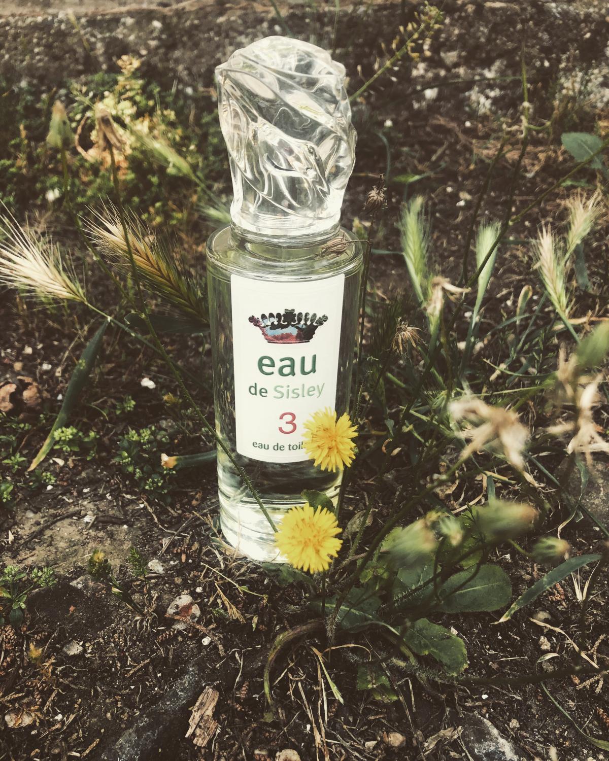 Sisley Eau de 3 Sisley Parfum - ein es Parfum für Frauen 2009
