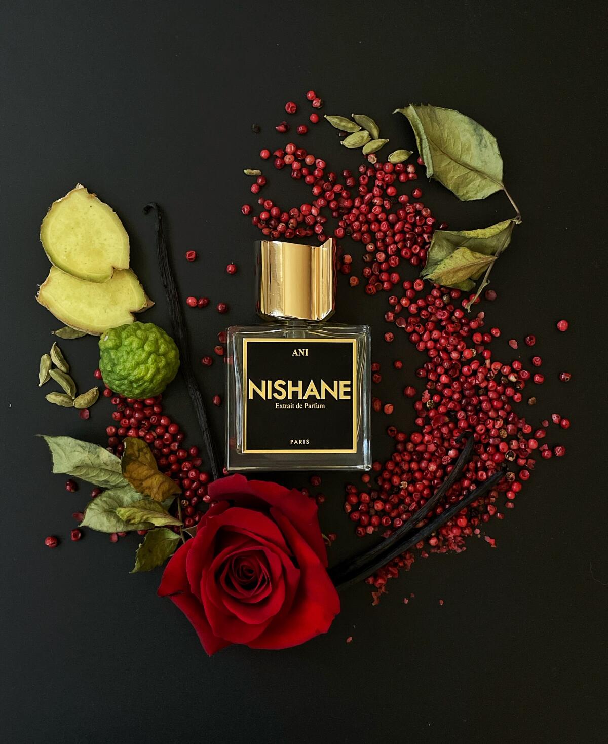 Ani Nishane perfume - a fragrância Compartilhável 2019