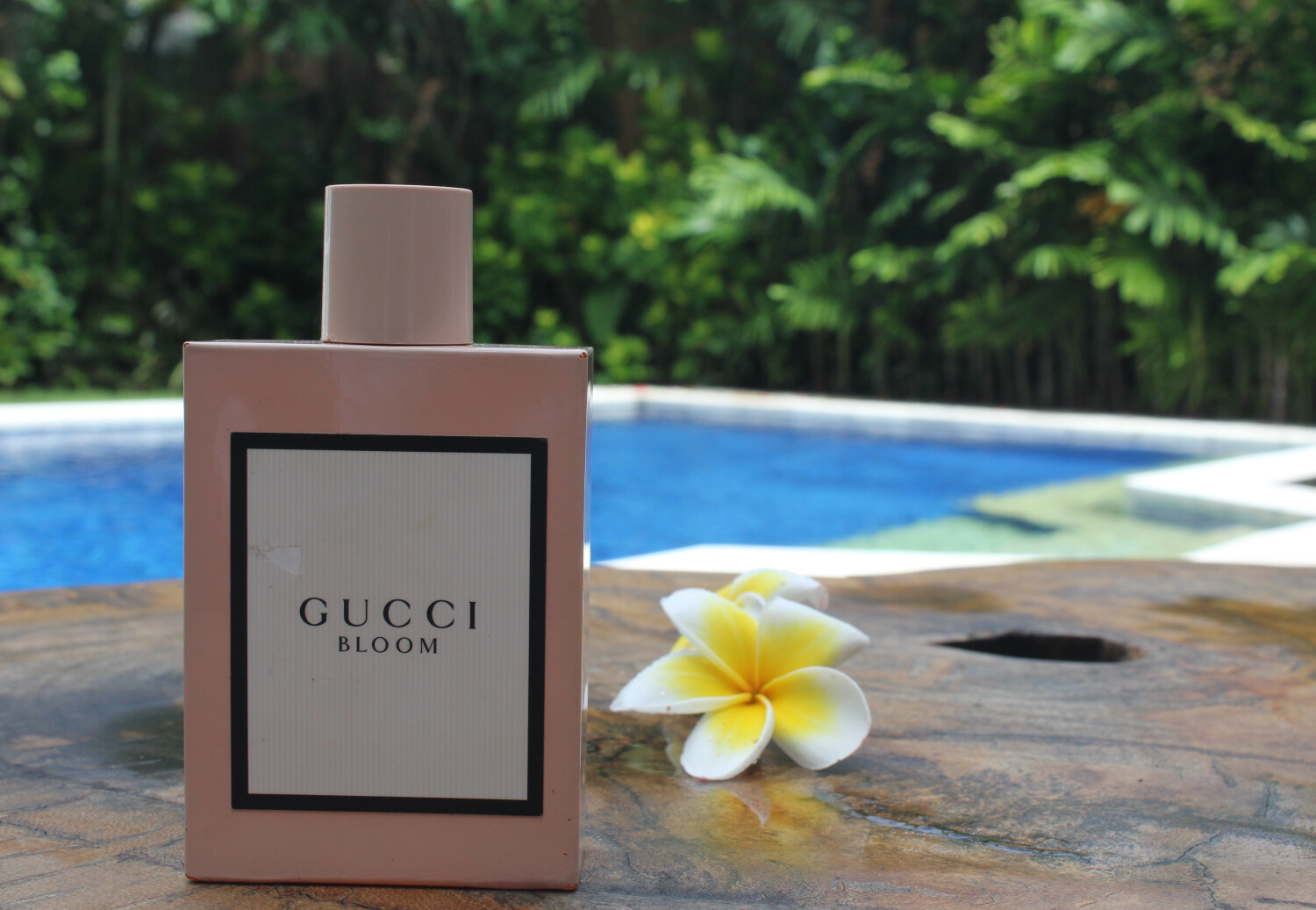 Gucci Bloom Gucci perfume - a fragrância Feminino 2017