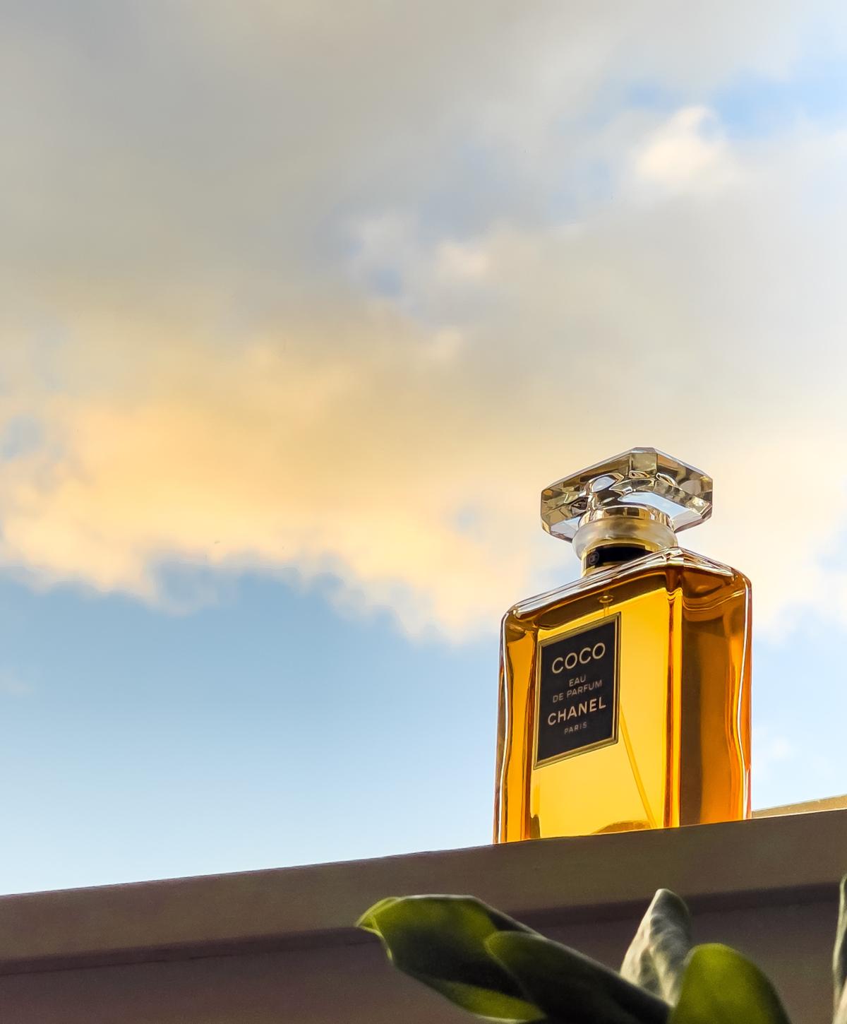 Coco Eau de Parfum Chanel perfume - a fragrância Feminino 1984