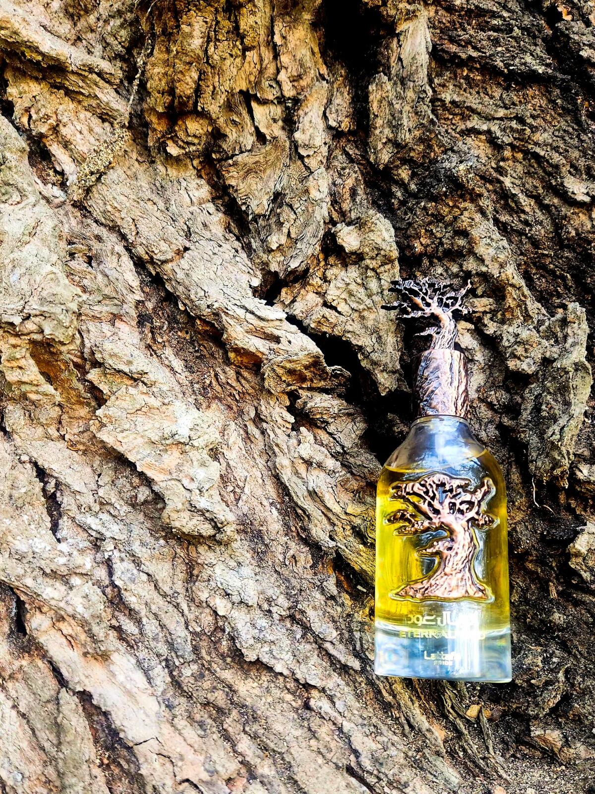Eternal Oud Lattafa Perfumes - una novità fragranza unisex 2022