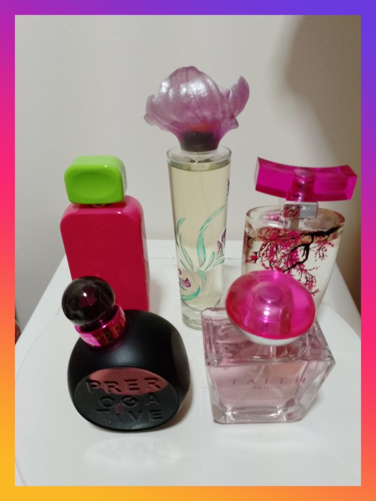 Smart Optimistic Al Musbah сүрчиг - a сүрчиг эмэгтэй 2012