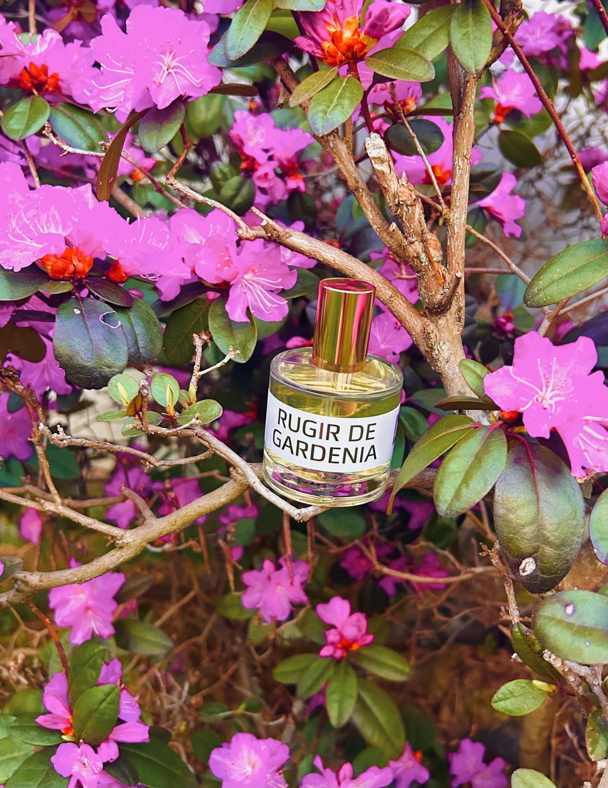 JD Rugir de Gardenia JD Jeffrey Dame perfume - a novo fragrância ...