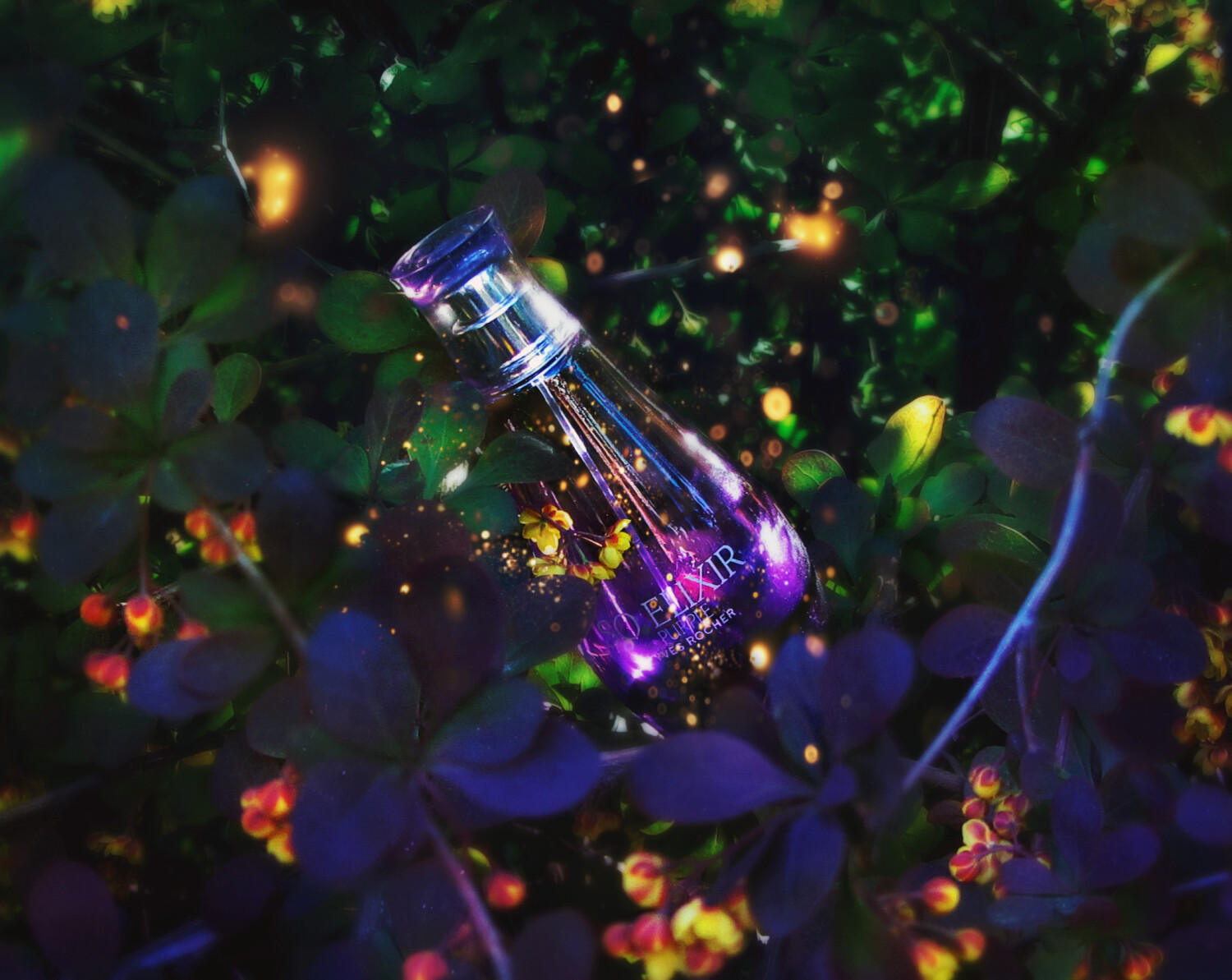 So Elixir Purple Eau de Parfum Yves Rocher parfum - een geur voor dames ...