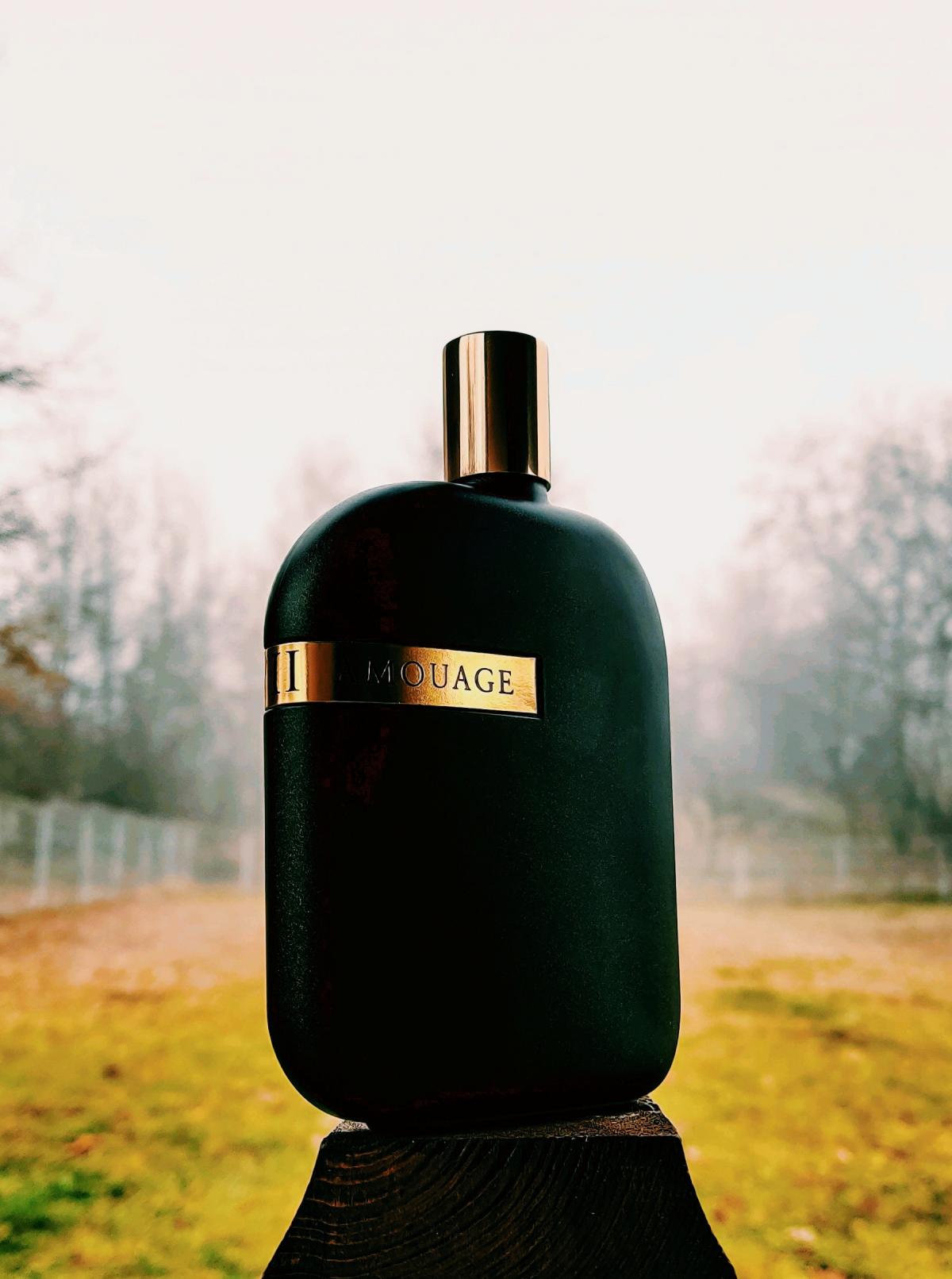 The Library Collection Opus VII Amouage parfum - een geur voor dames en ...