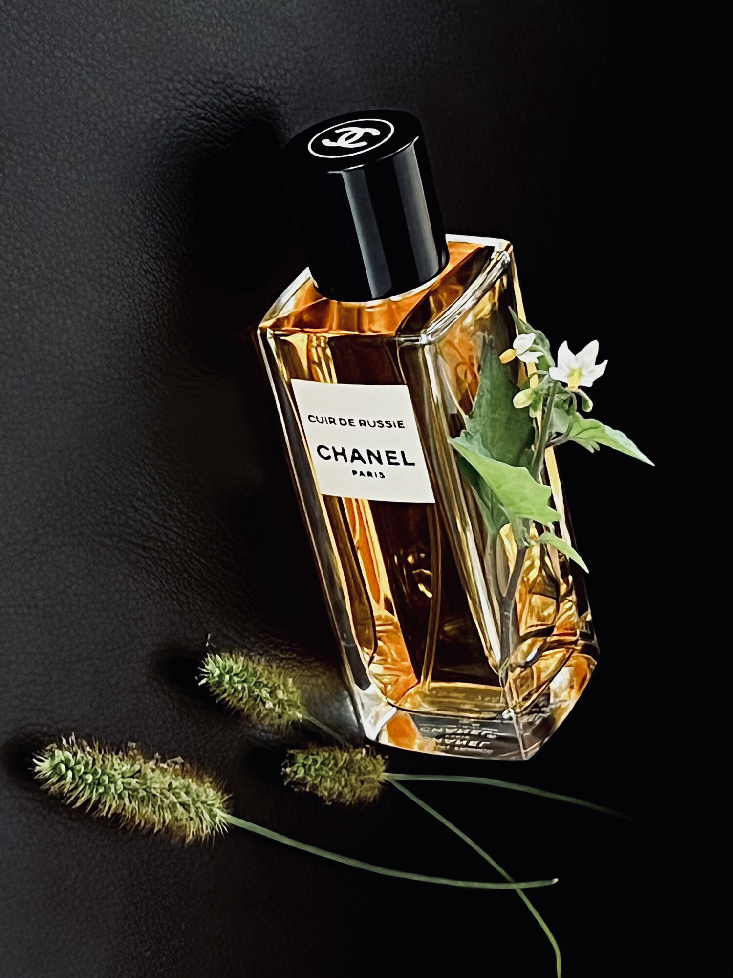 Cuir de Russie Eau de Parfum Chanel Parfum - ein es Parfum für Frauen 2016