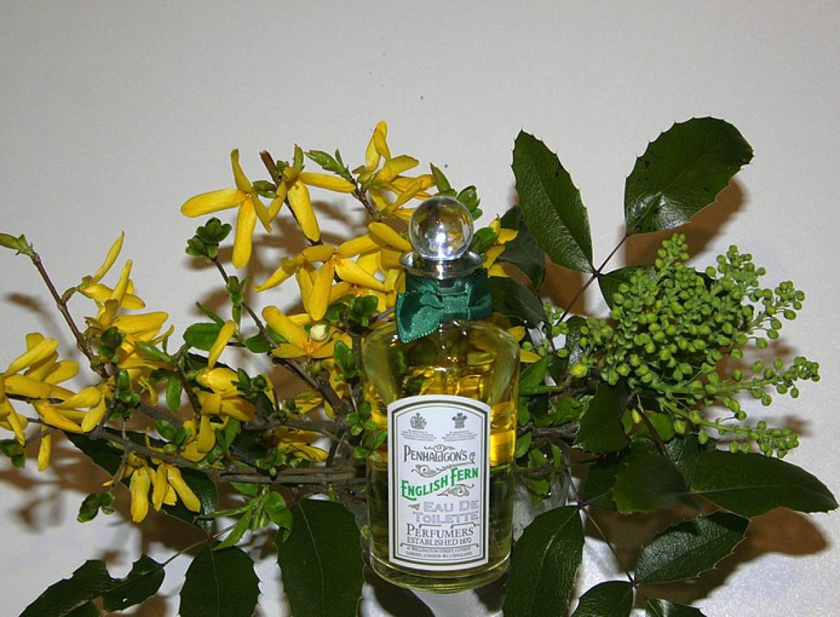 English Fern Penhaligon's аромат — аромат для мужчин и женщин 1890