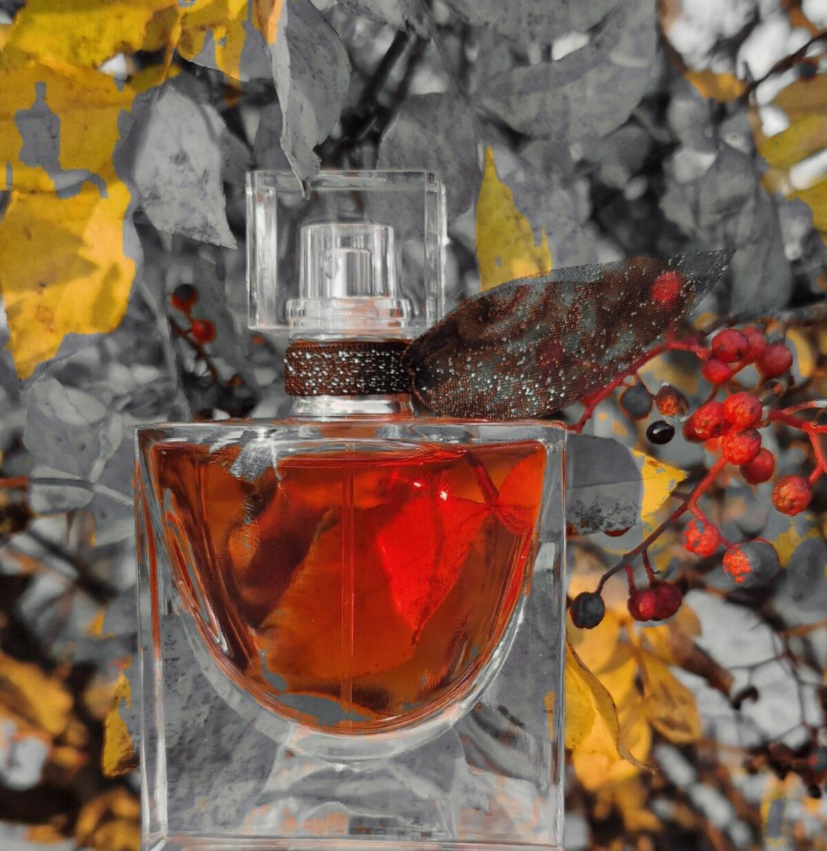 La Vie est Belle L'Elixir Lancôme fragancia - una nuevo fragancia para ...