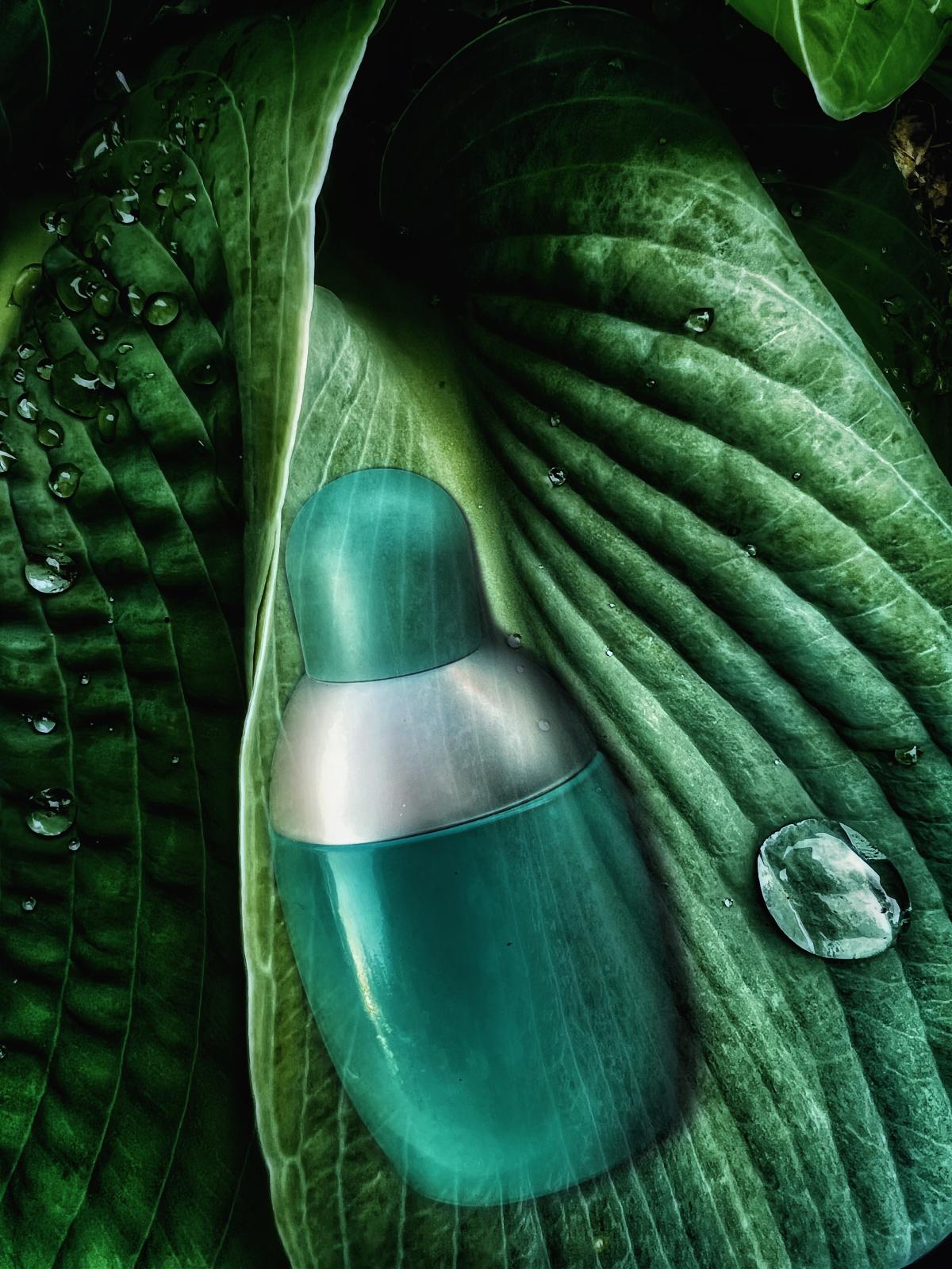 Eden Cacharel perfume - a fragrância Feminino 1994