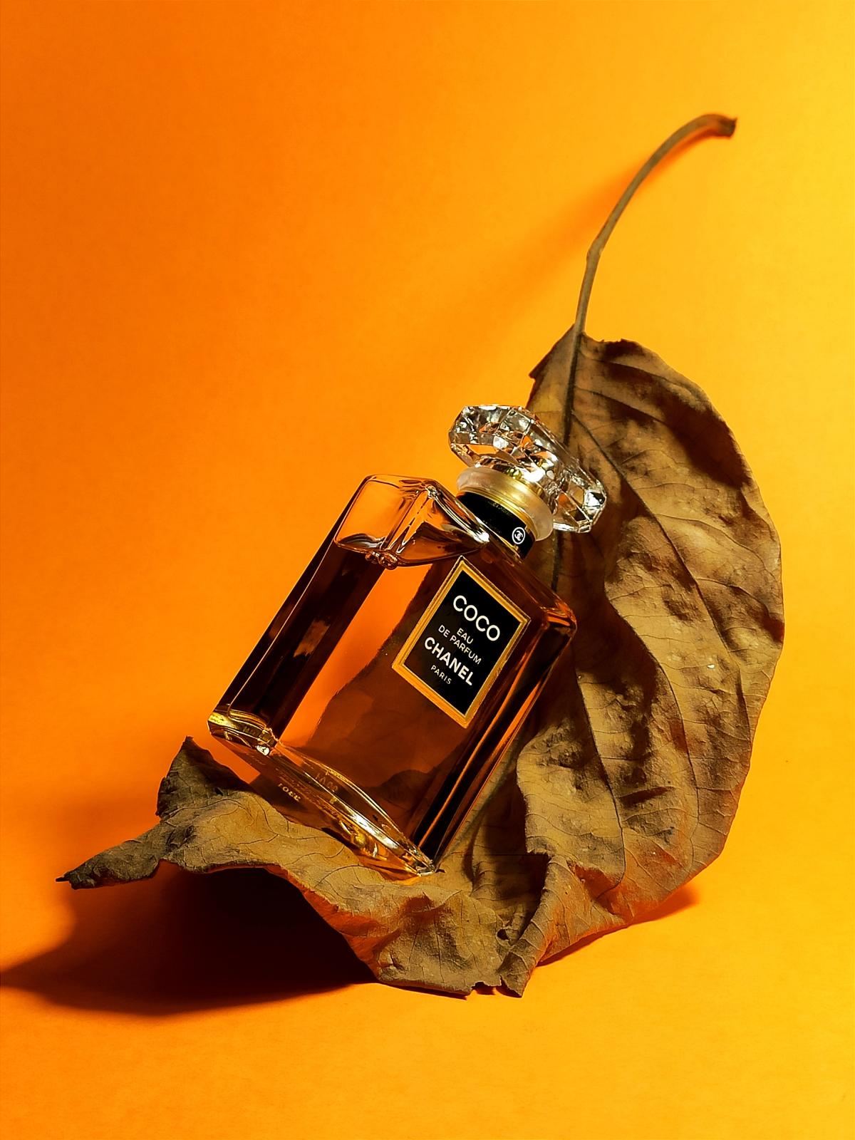 Coco Eau de Parfum Chanel perfume - a fragrância Feminino 1984