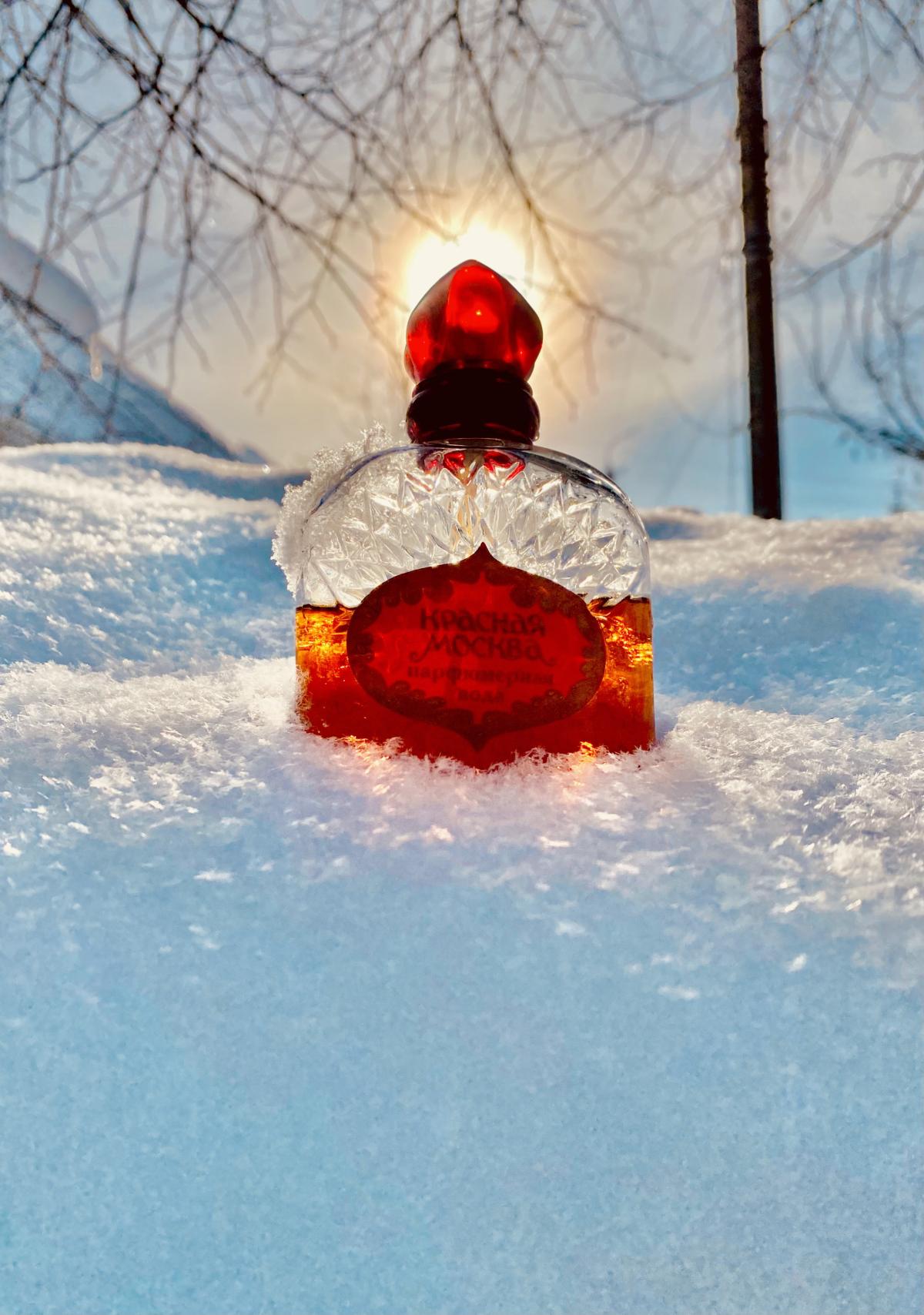 Красная Москва (Red Moscow) Новая Заря (The New Dawn) عطر - a fragrance ...