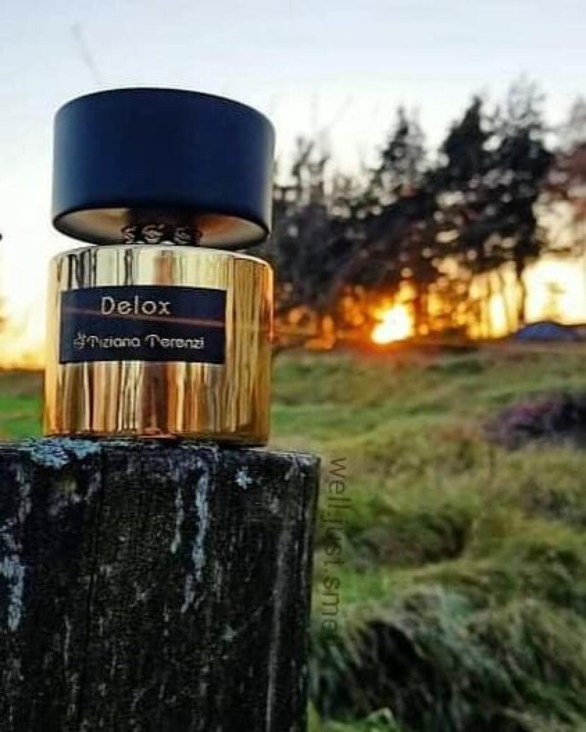 Delox Tiziana Terenzi аромат — аромат для мужчин и женщин 2017