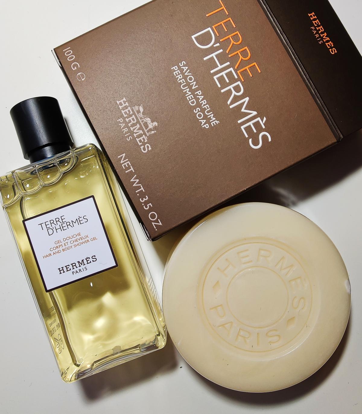 Terre d'Hermès Hermès cologne - een geur voor heren 2006