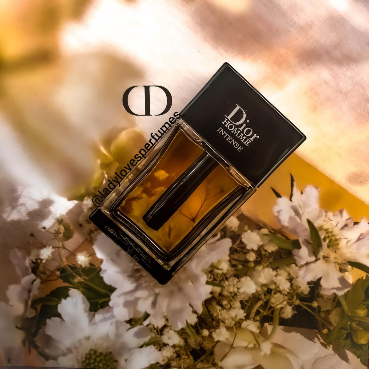 Dior Homme Intense 2011 Dior colônia - a fragrância Masculino 2011