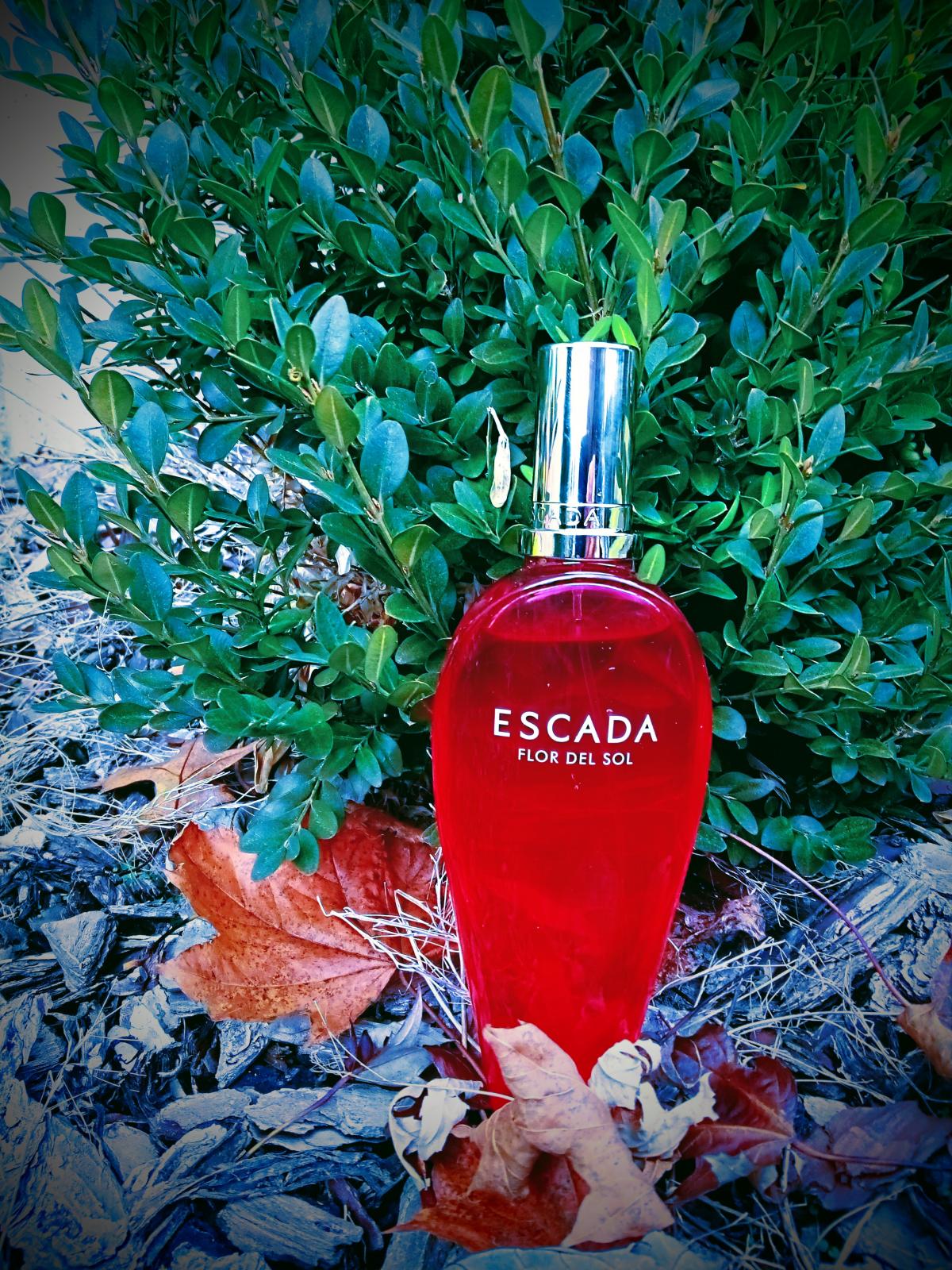 Flor del Sol Escada parfum - un nouveau parfum pour femme 2020