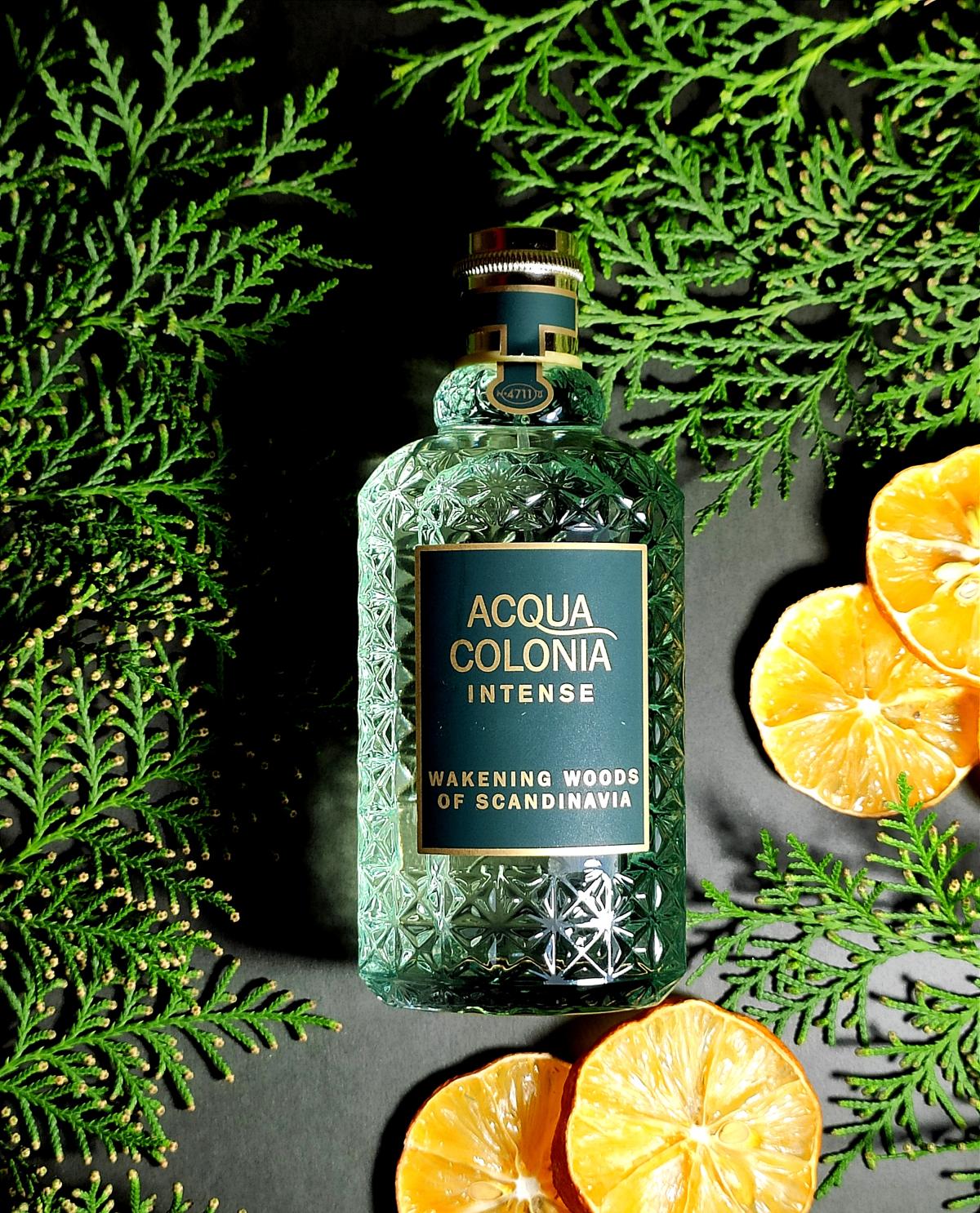 4711 Acqua Colonia Intense Wakening Woods Of Scandinavia 4711 аромат ...