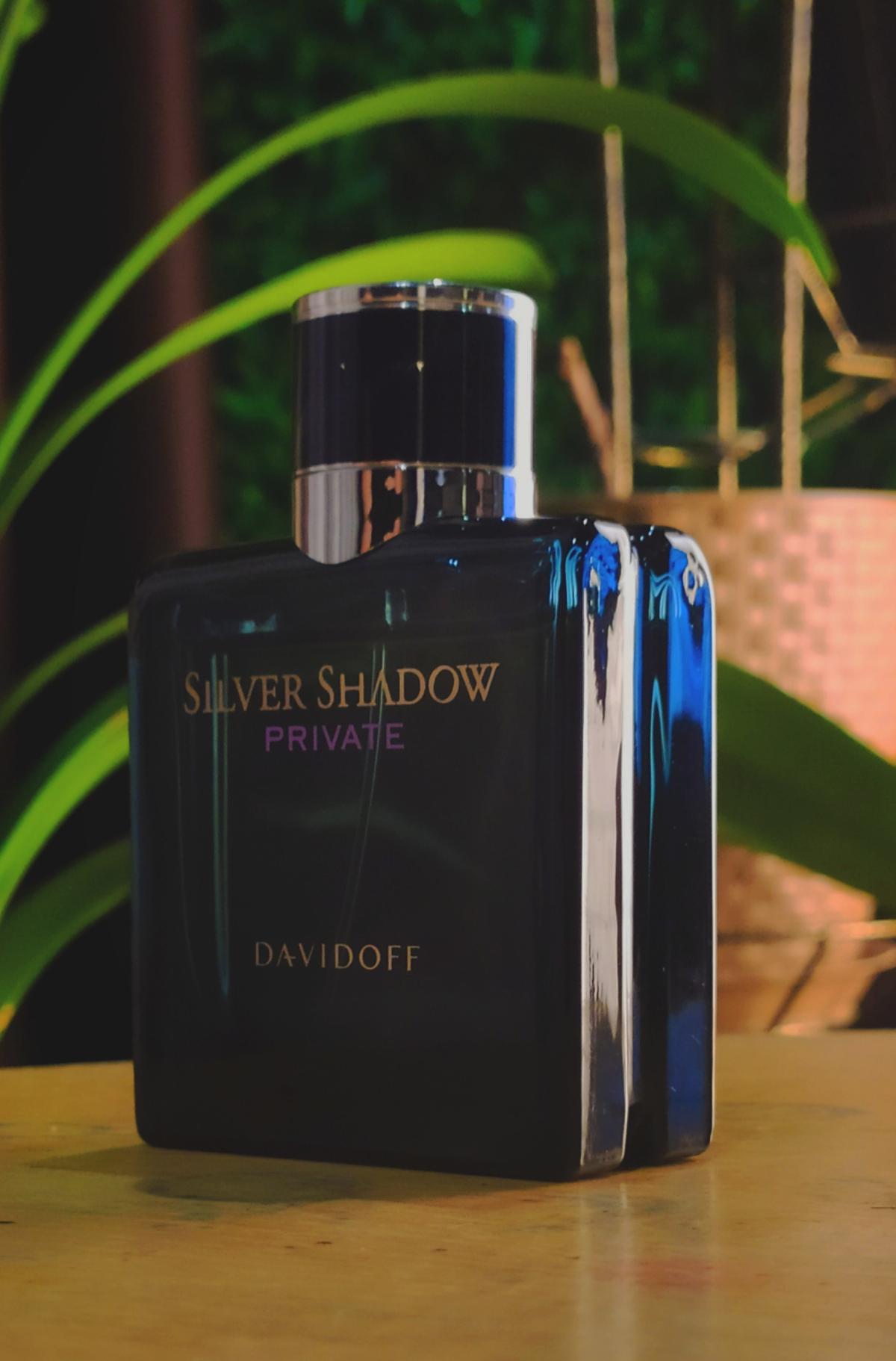 Silver Shadow Private Davidoff Colônia - a fragrância Masculino 2008
