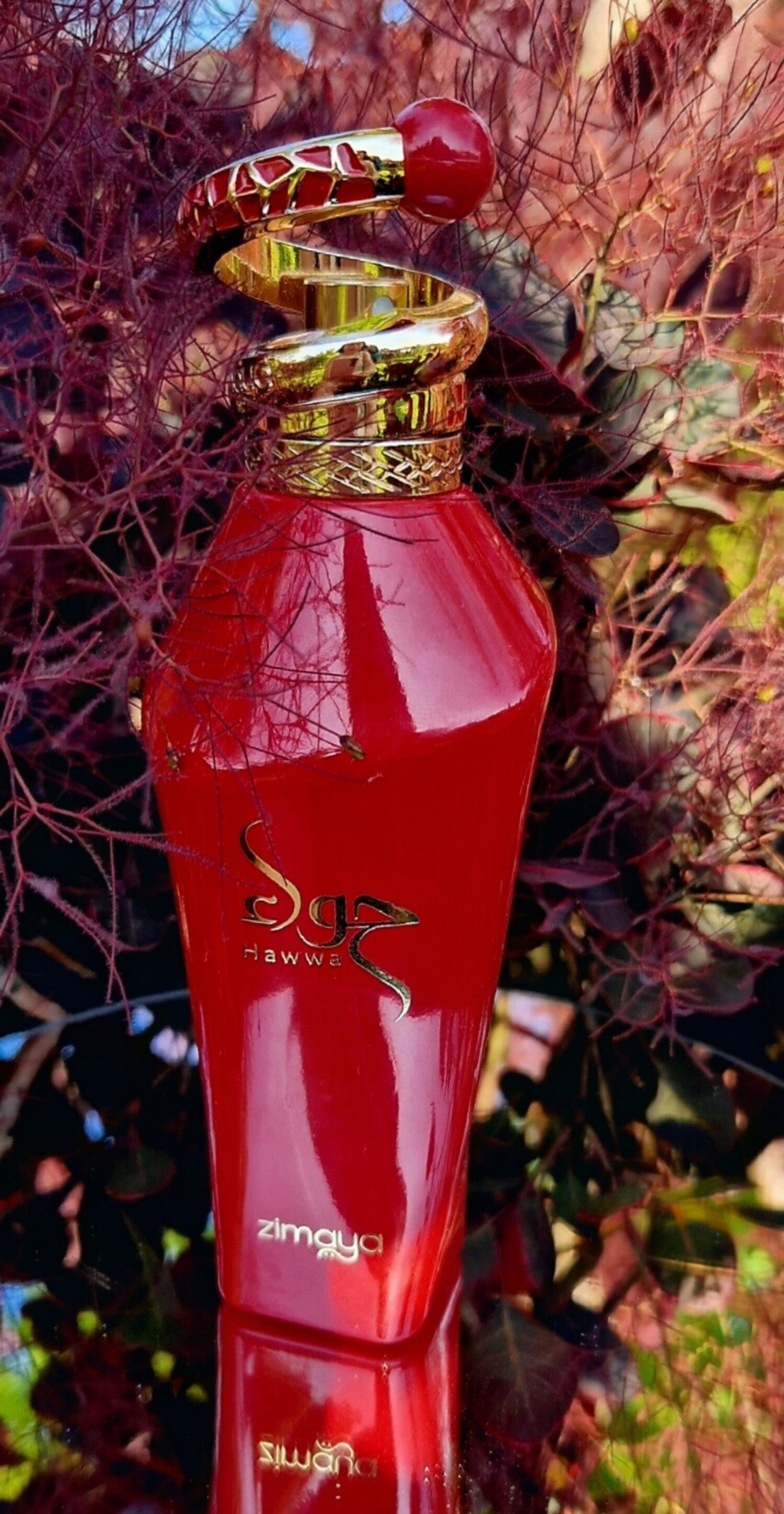 Hawwa Red Zimaya parfum - un nouveau parfum pour femme 2024