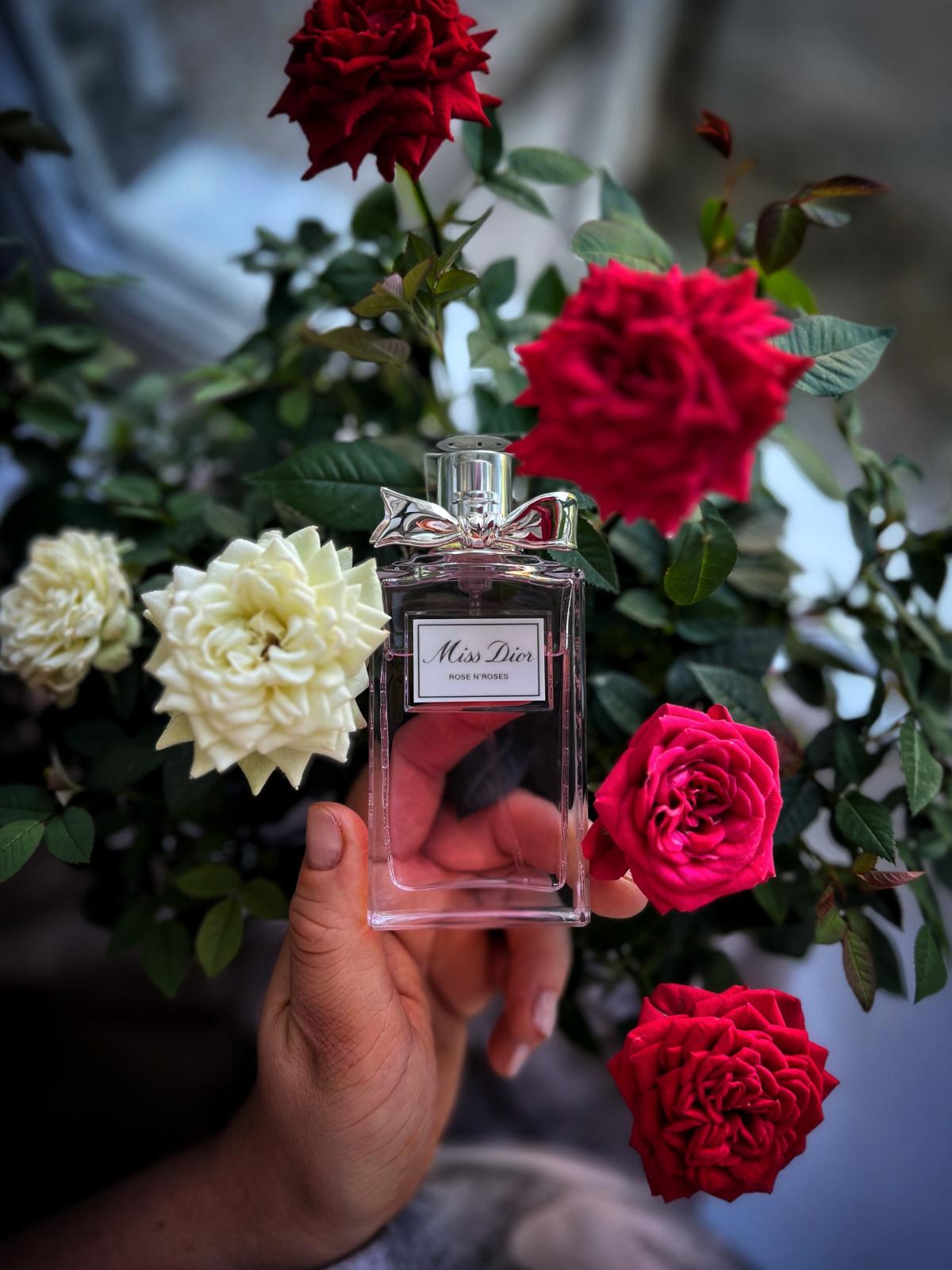 Miss Dior Rose N'Roses Dior fragancia - una fragancia para Mujeres 2020